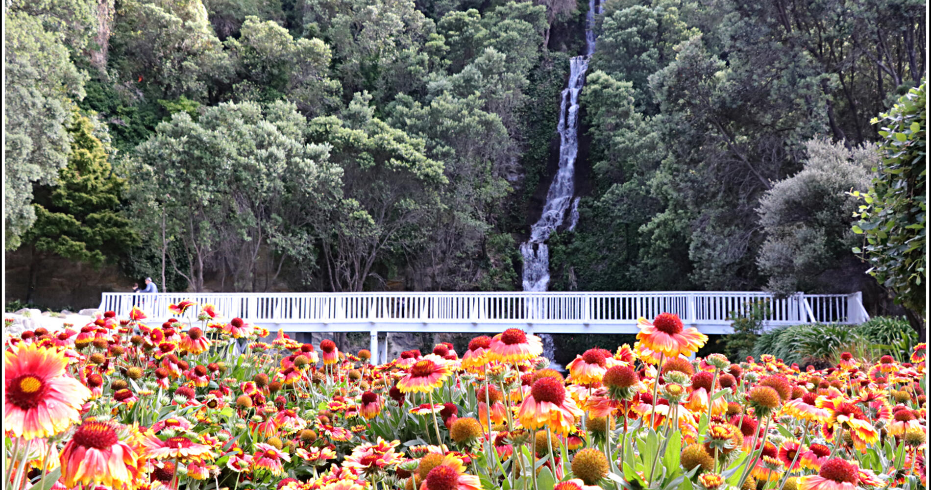 Napier Wine and Art Deco Tour | Activities & Day Trips in Hawke's Bay ...
