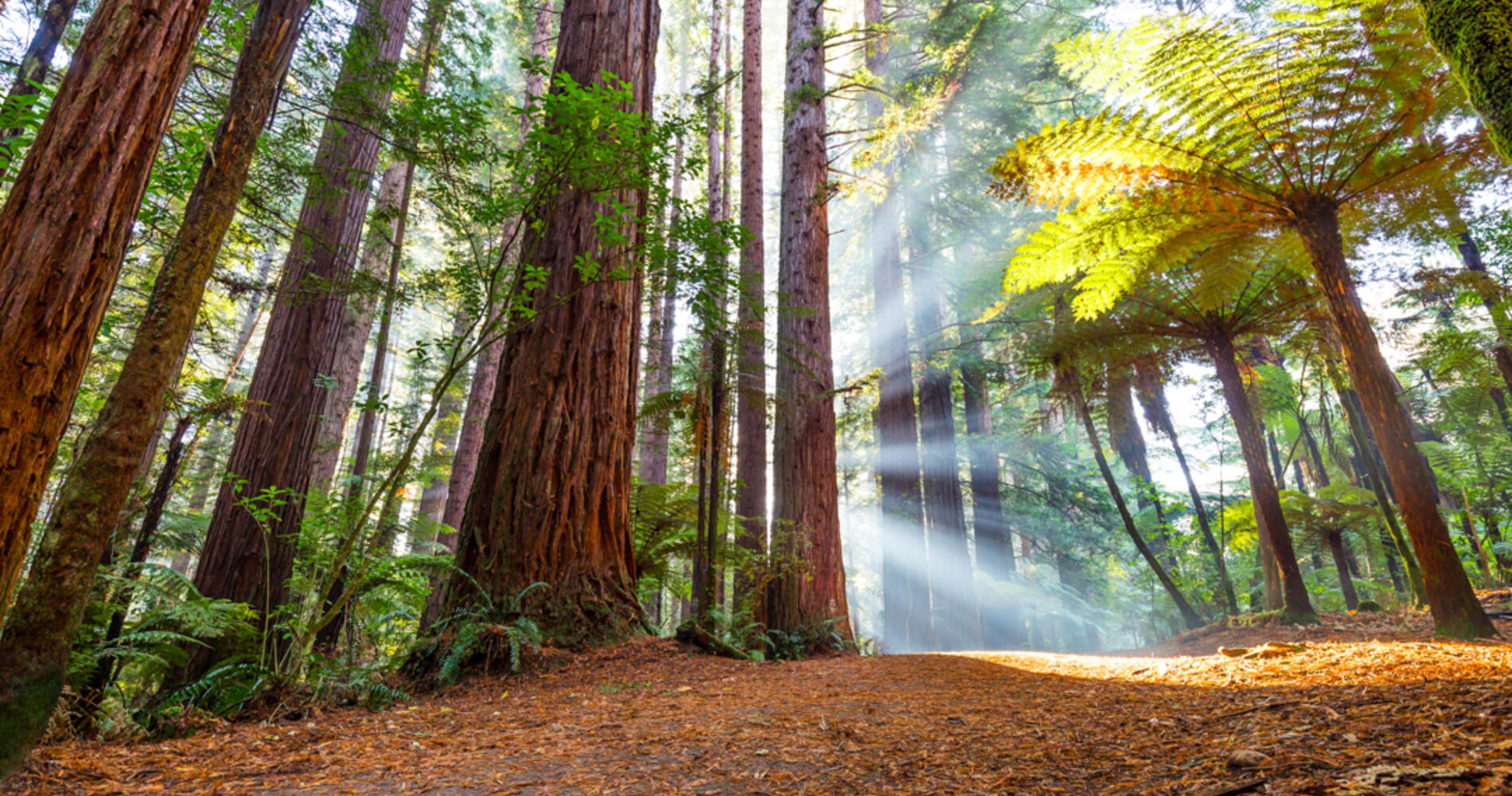 Work Life Balance Retreat | Multi-Day Tours & Packages