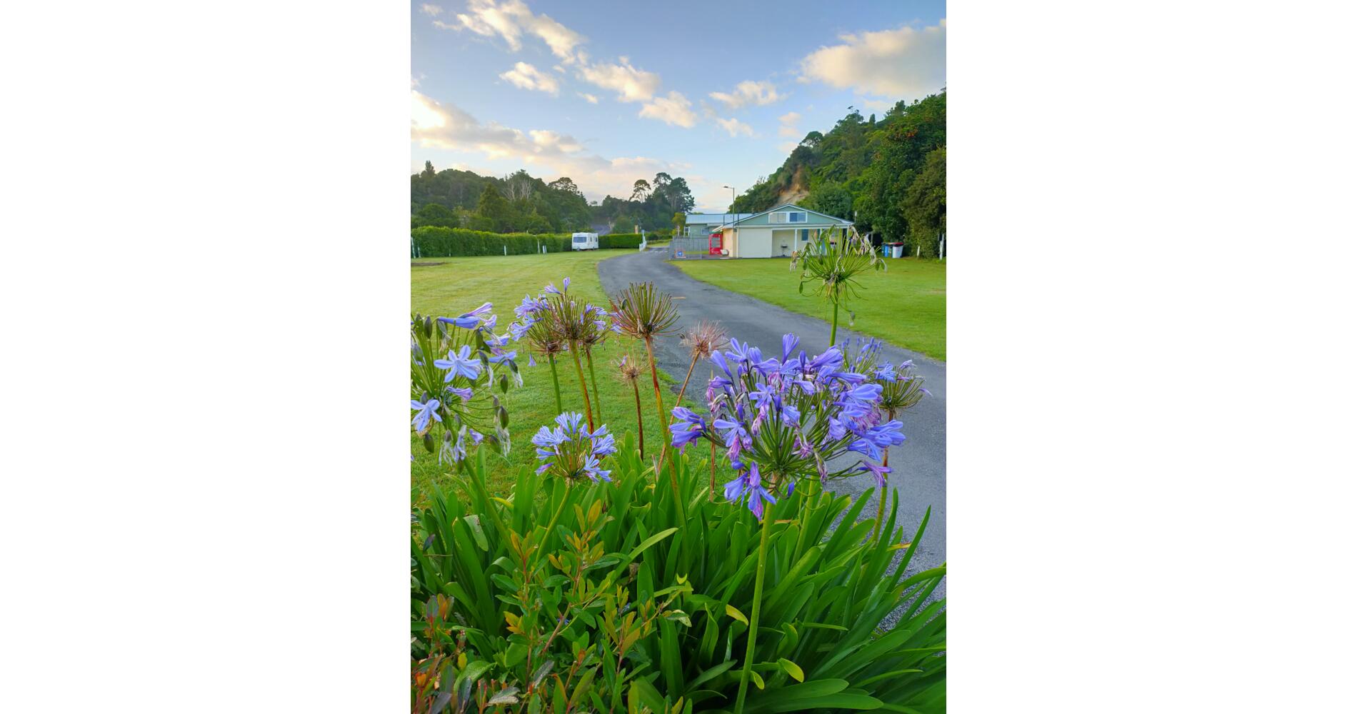 Onaero Bay Holiday Park | Accommodation in Taranaki, New Zealand