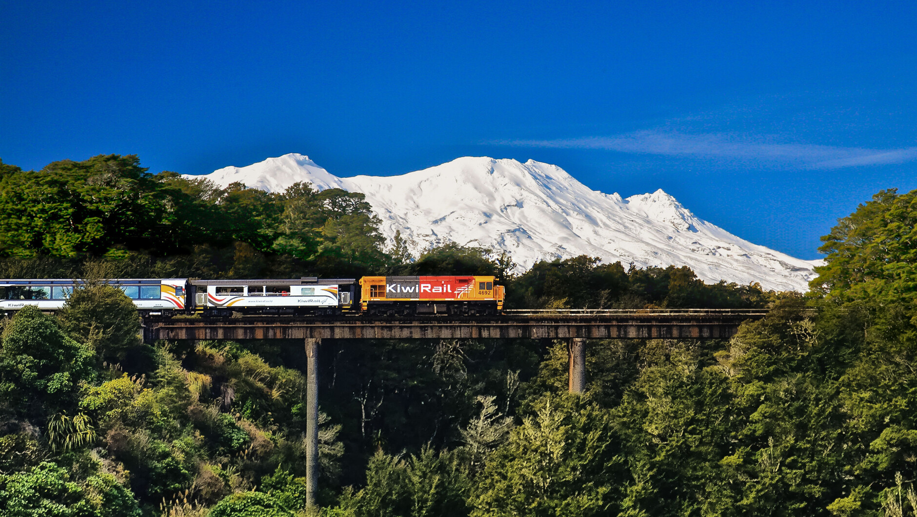 Northern Explorer Train | Transport in Wellington, New Zealand