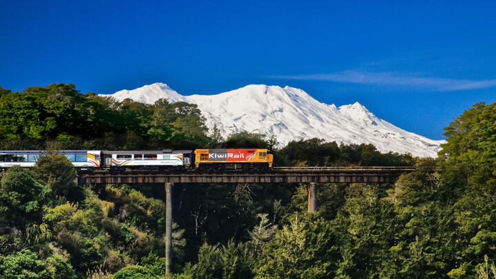 Northern Explorer Train | Transport in Wellington, New Zealand