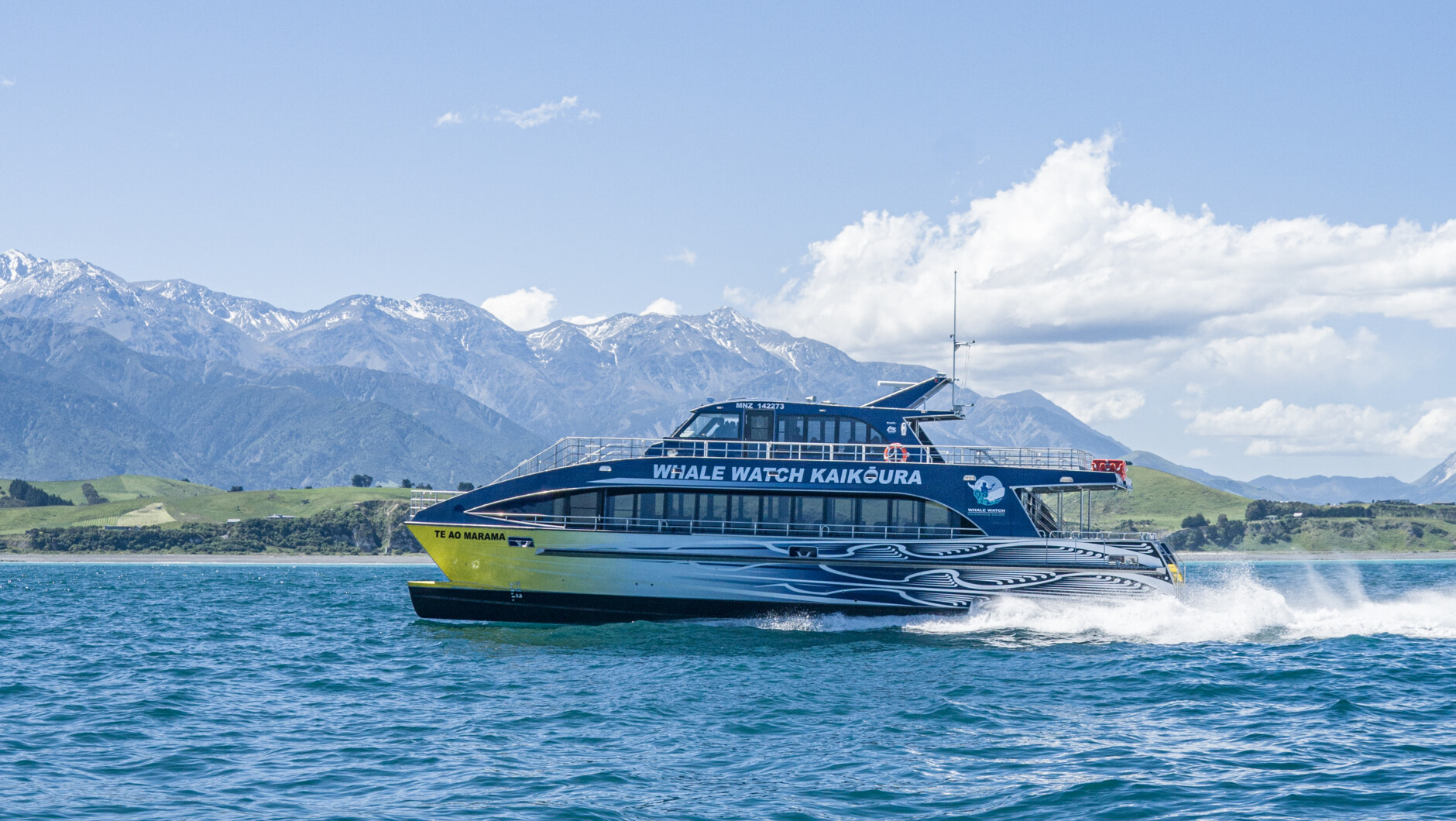 Whale Watch Kaikoura | Activity in Christchurch - Canterbury, New Zealand