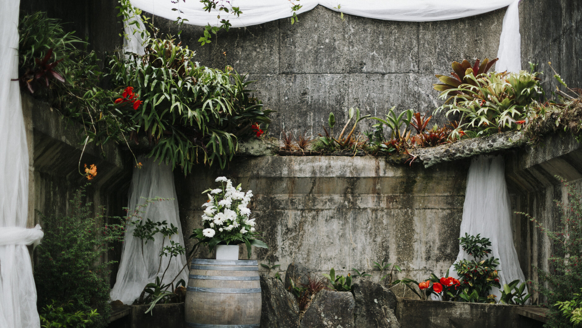 Whangarei Quarry Gardens | Activity in Northland & Bay of Islands, New ...