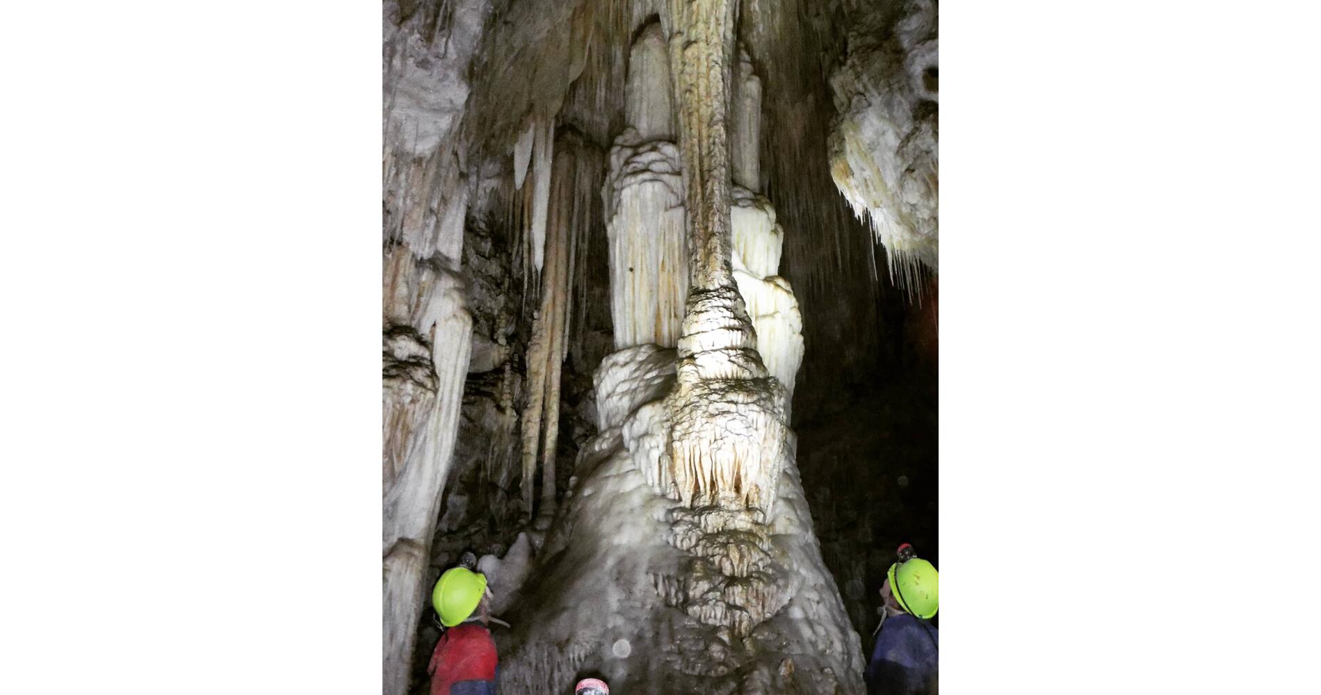 Raglan Rock, Original Pioneers Caving | Activities & Day Trips in ...