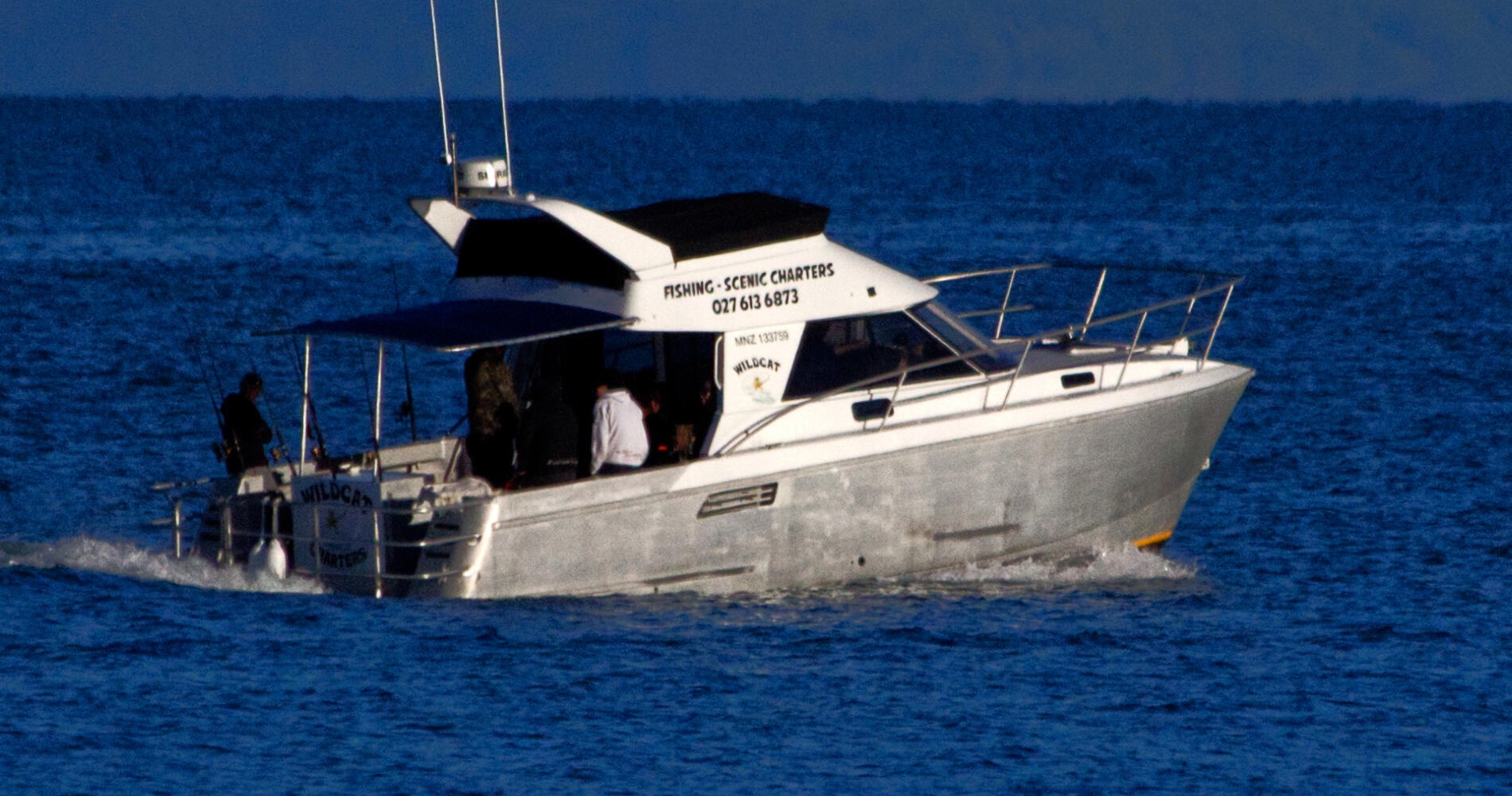 Wildcat Charters | Activities & Day Trips in Nelson Tasman, New Zealand