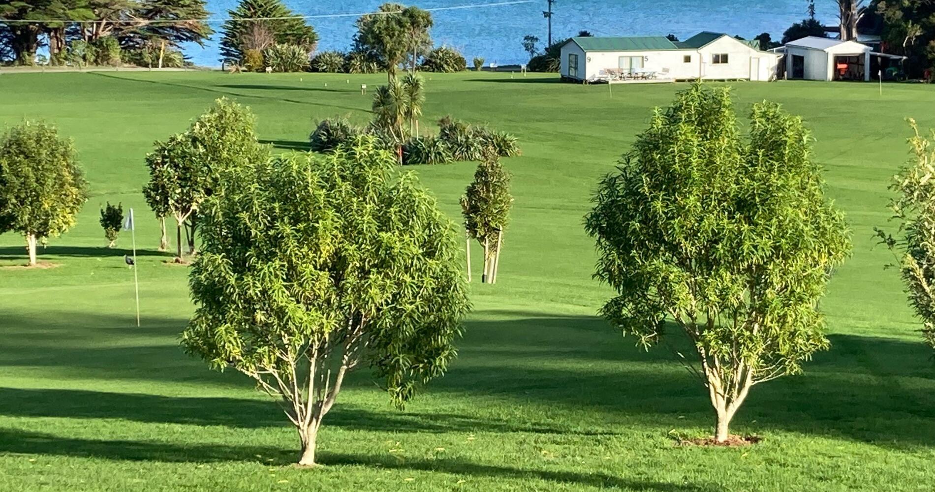 Nopera Bay Golf Club | Activities & Day Trips in Marlborough, New Zealand