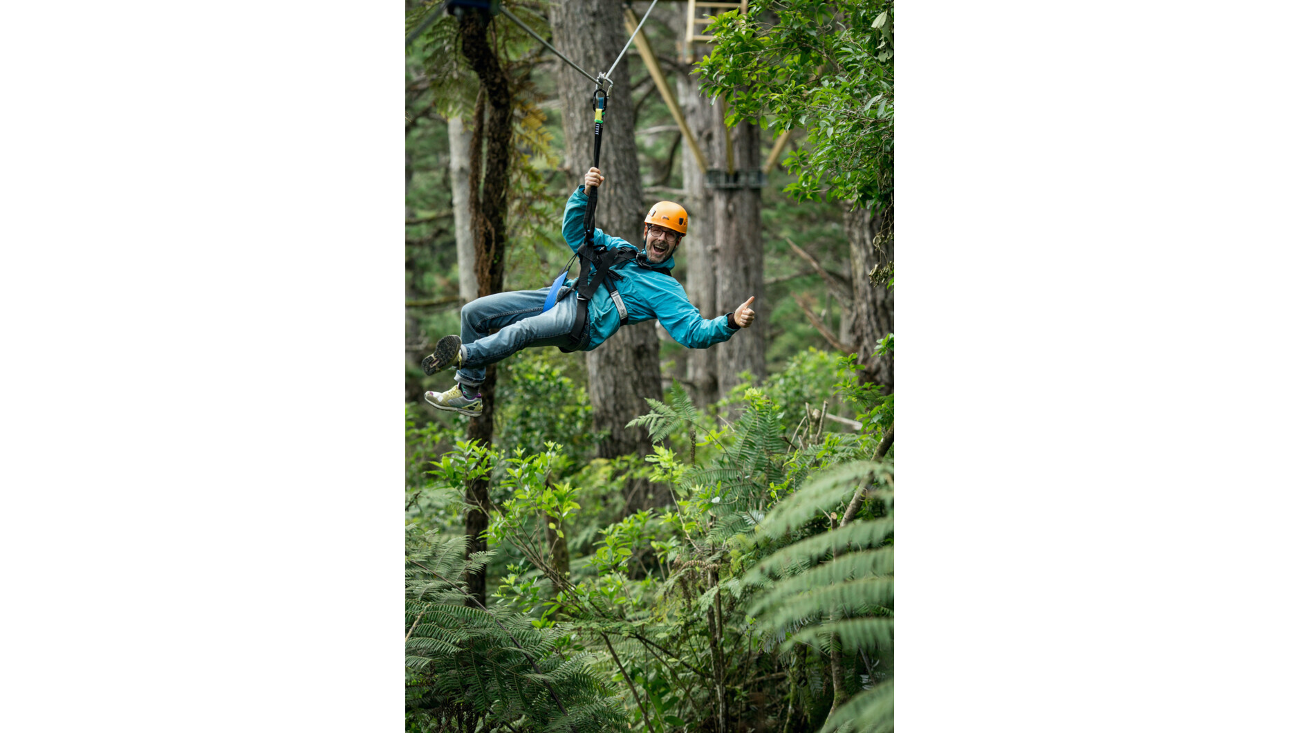 Coromandel Zipline Tours | Activity in The Coromandel, New Zealand
