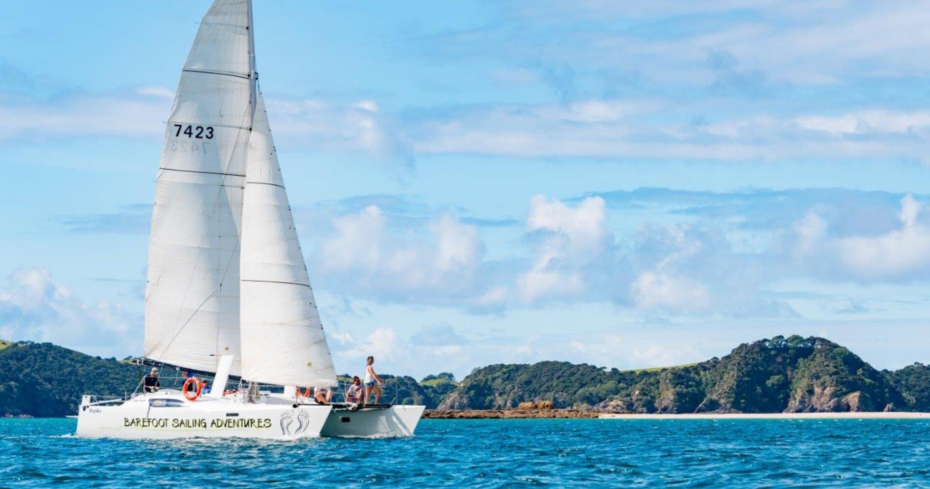 Bay of Islands Sailing Cruises | Activities & Day Trips in Northland ...