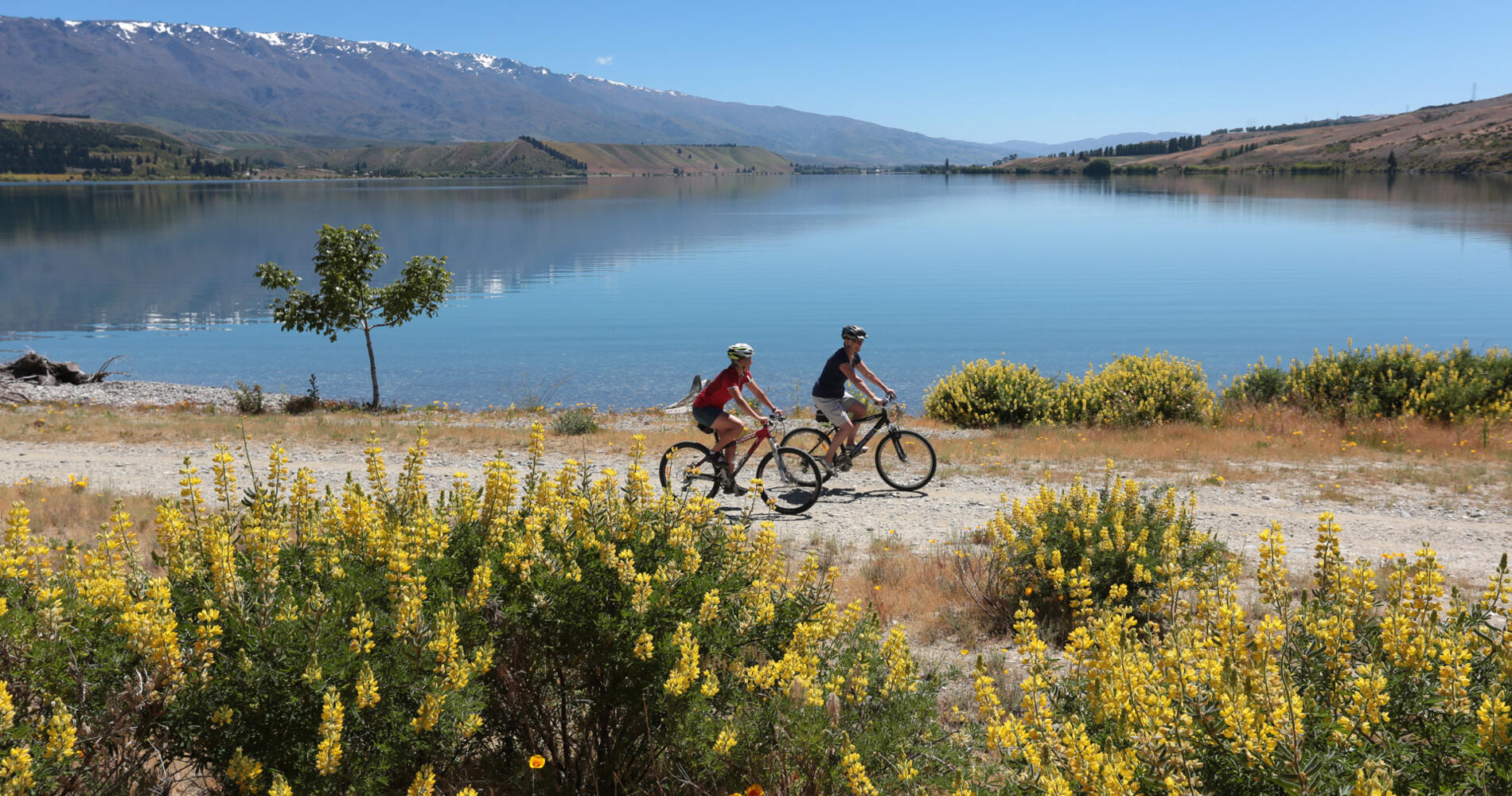 Ride the Lake Dunstan, Roxburgh Gorge and Clutha Gold Bike Trails ...
