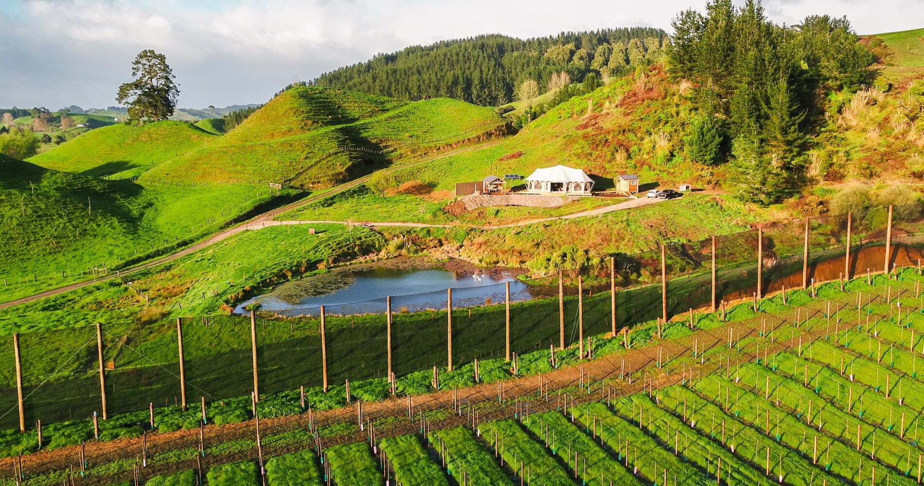 Orchard Valley, Waitomo Boutique Glamping | Accommodation in Waikato ...