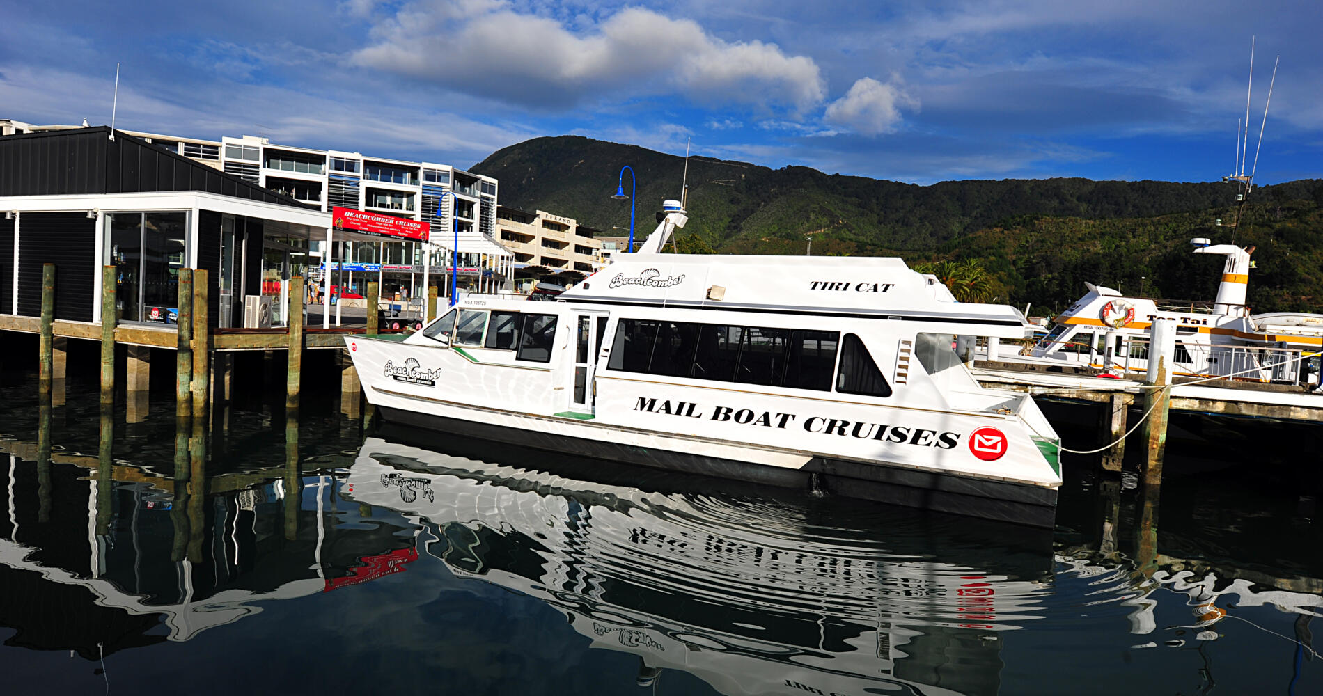 Beachcomber Cruises - Motuara Bird Watchers Cruise | Activities & Day ...