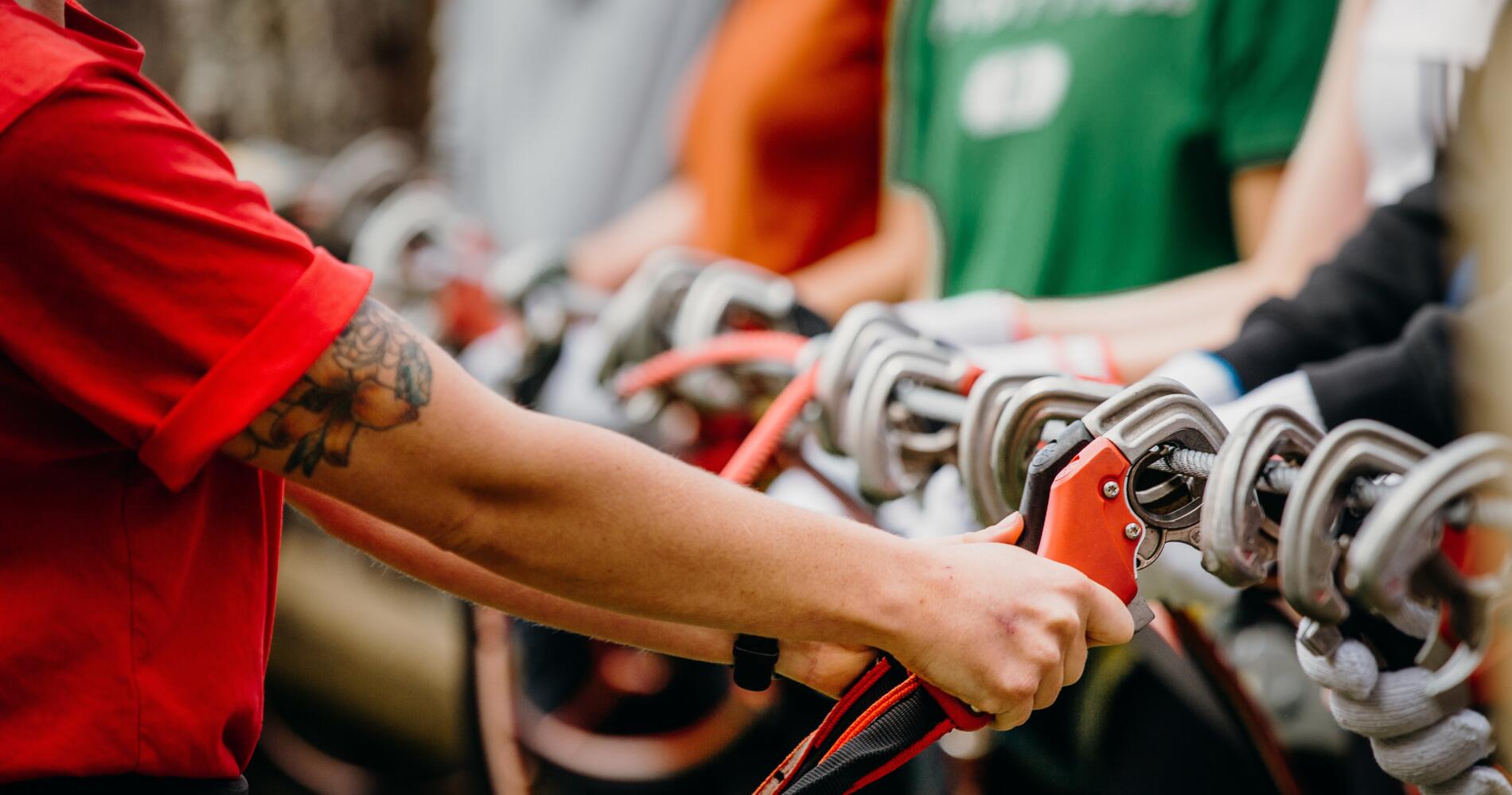 Adrenalin Forest Auckland | Activity in Auckland, New Zealand