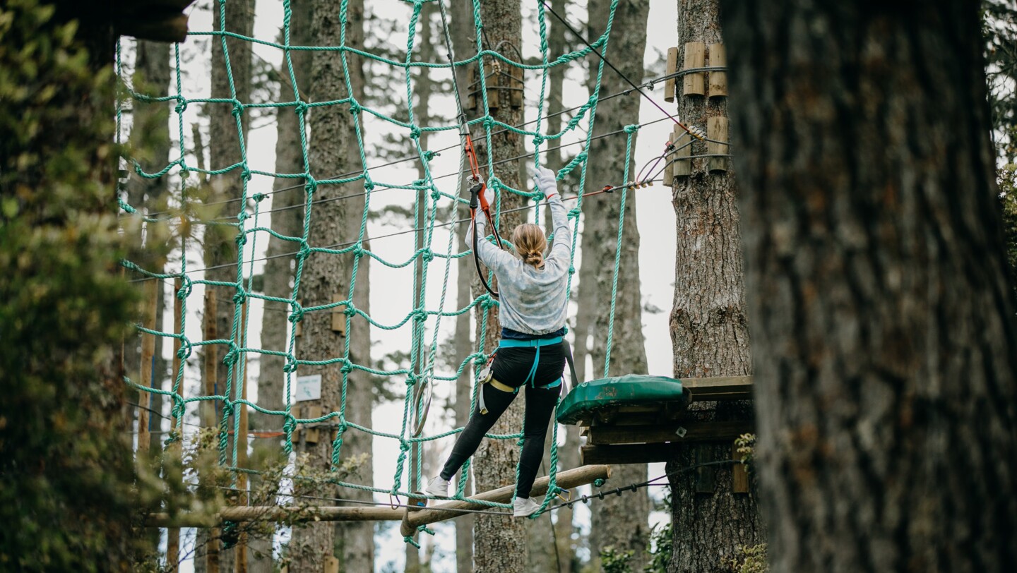 Adrenalin Forest Auckland | Activity in Auckland, New Zealand