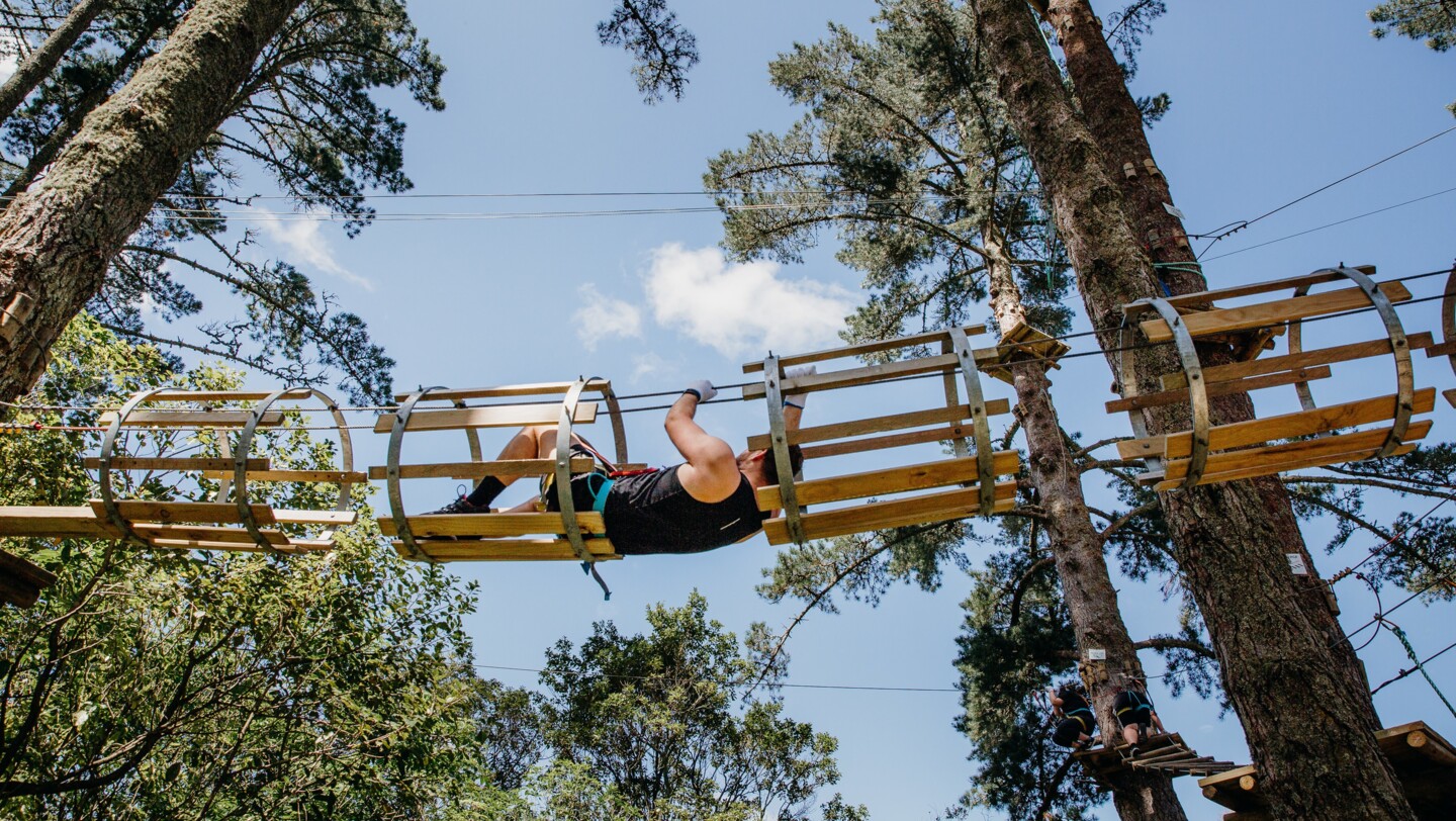Adrenalin Forest Wellington | Activity in Wellington, New Zealand