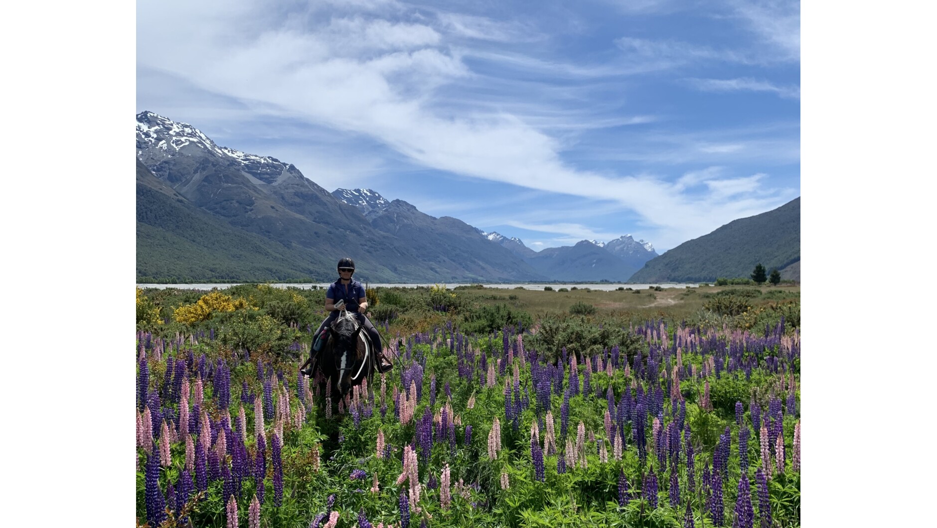 Lighthorse Adventures | Activities & Day Trips in Queenstown, New Zealand