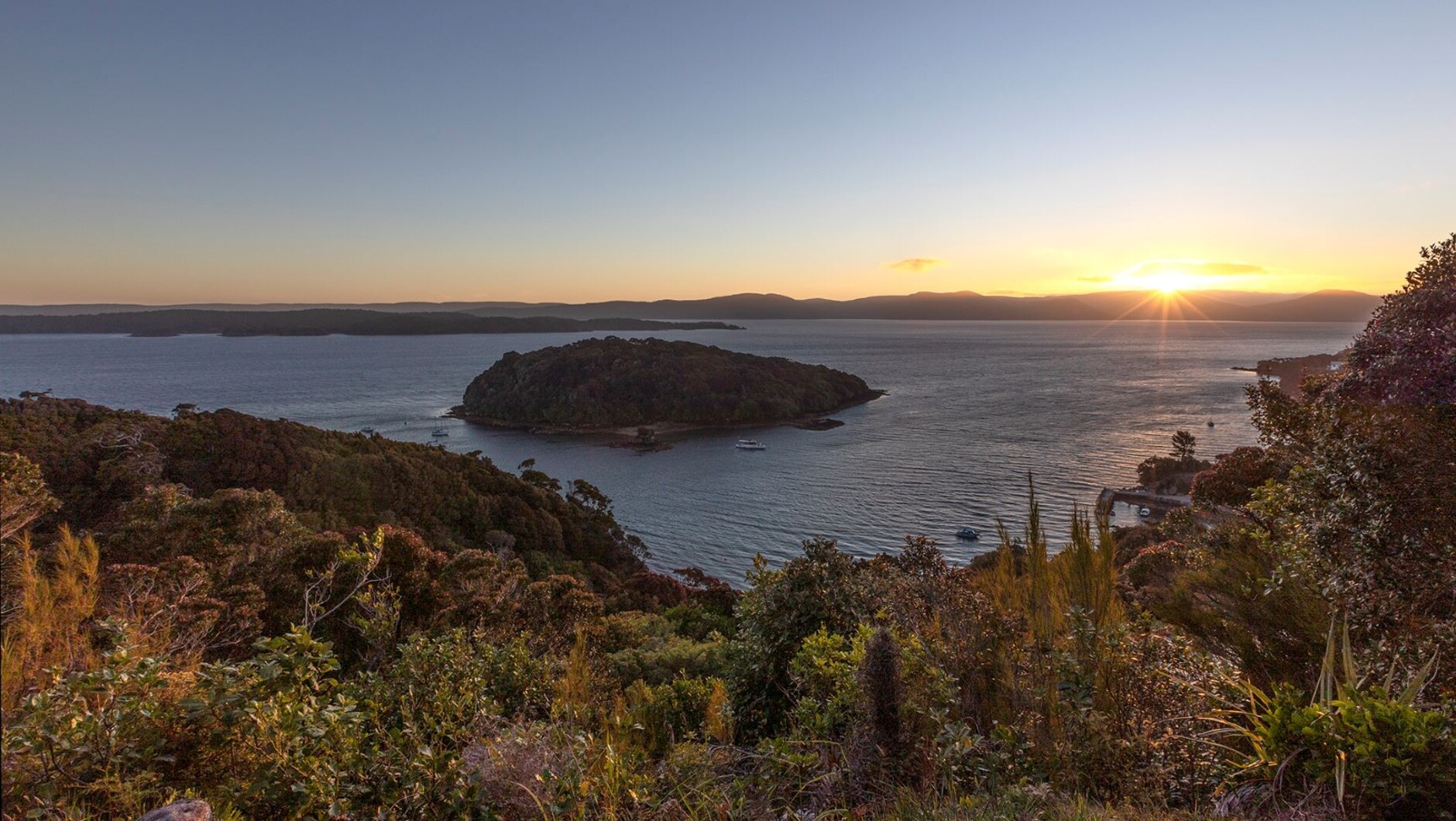 Stewart Island Aurora Hunting - Small Group Tour | Tour