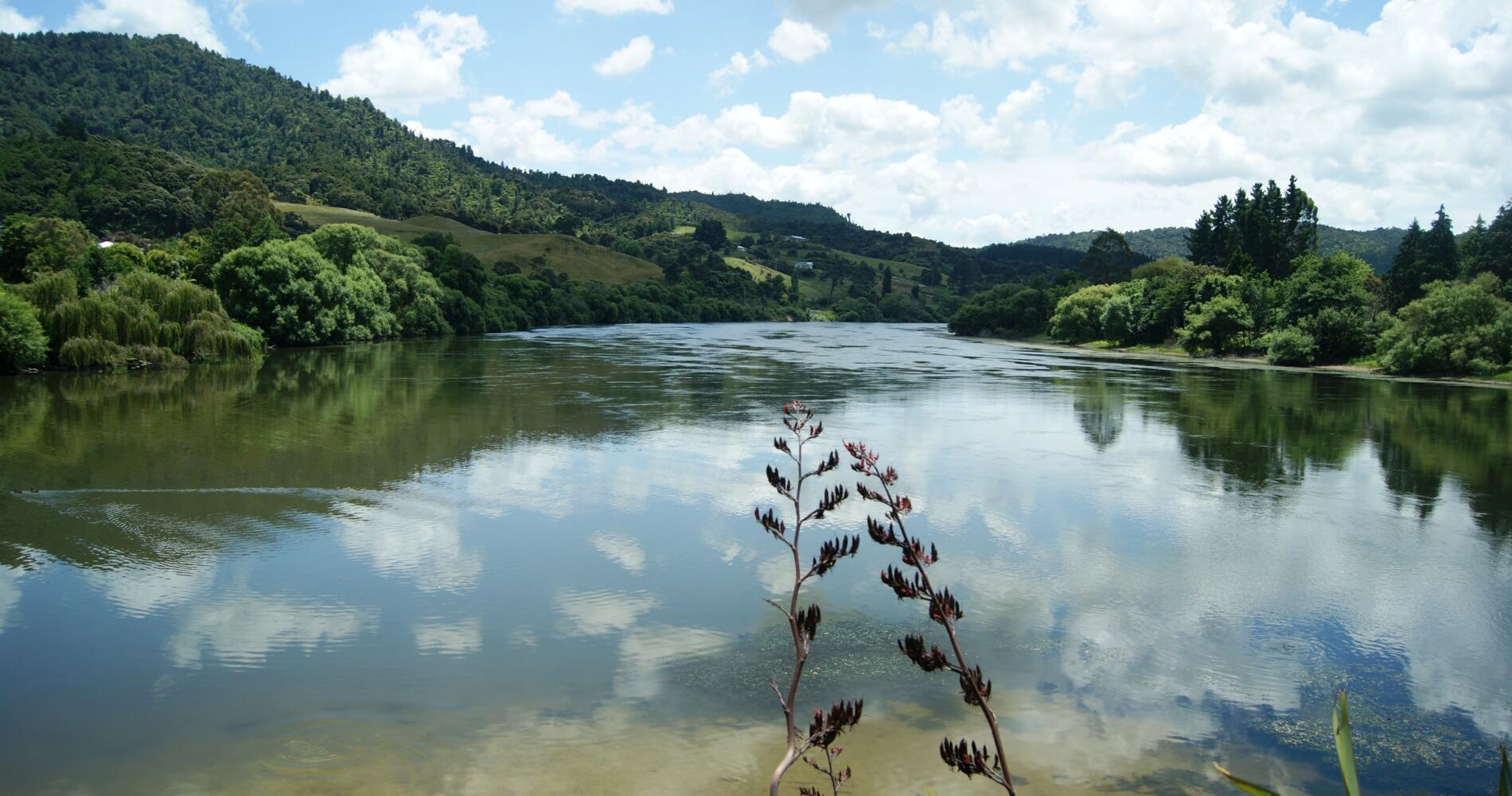 Te Puna Wai Tours | Activities & Day Trips in Waikato, New Zealand