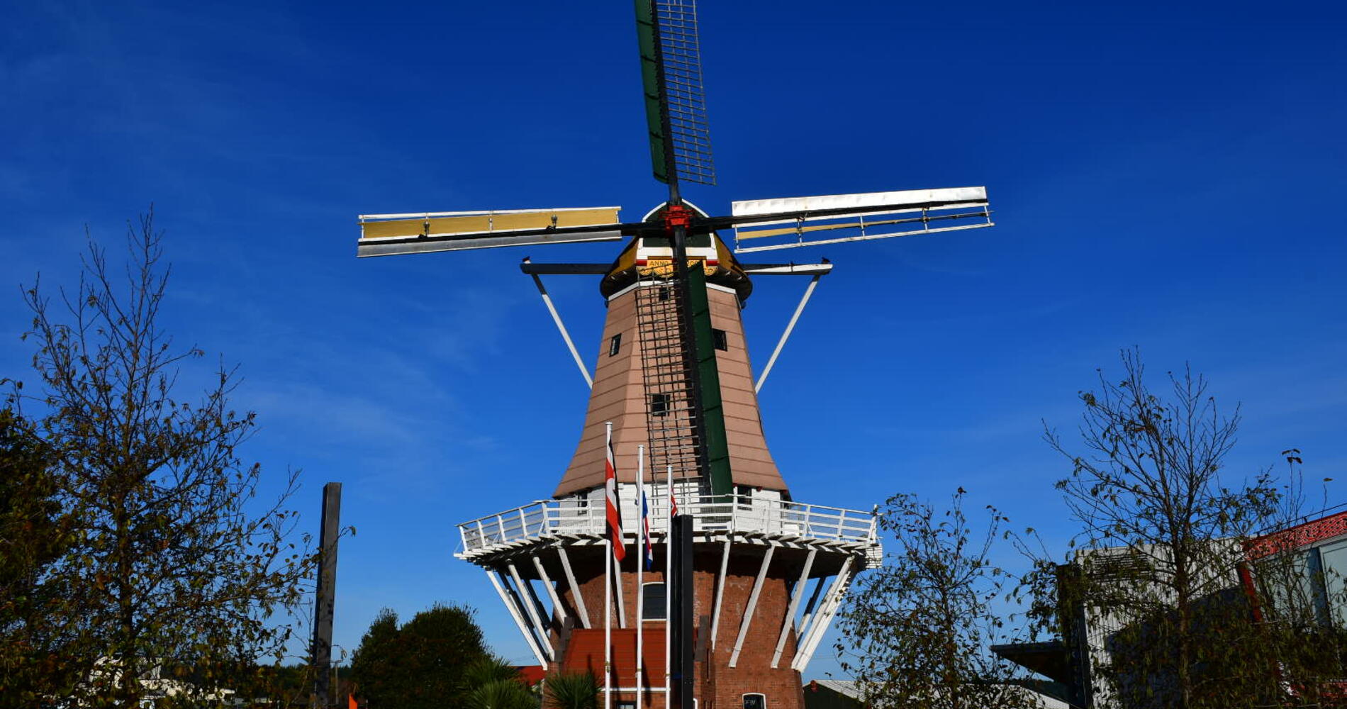 De Molen, Dutch Windmill - Foxton | Activity in Manawatū, New Zealand