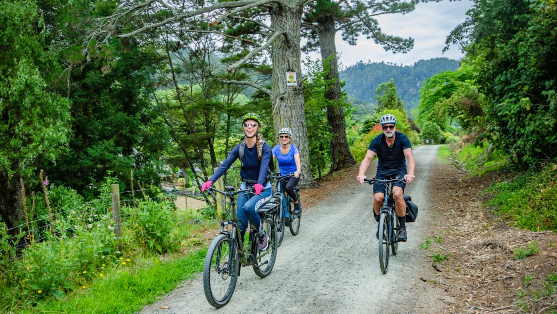 Hauraki Rail Trail 4 Day Autumn Ride | Activities & Day Trips in The Coromandel, New Zealand
