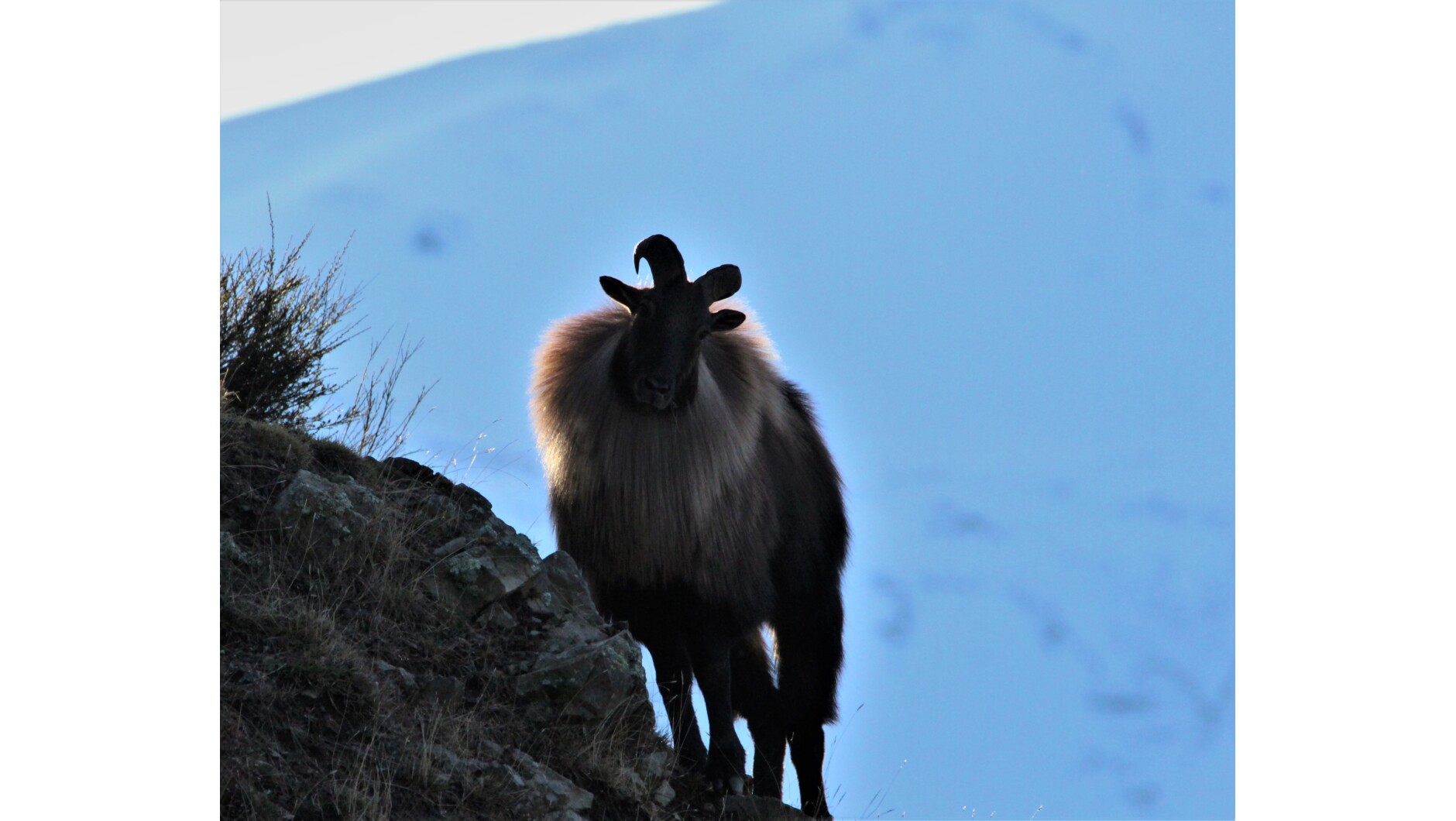 Rangitata Hunting New Zealand | Activity in Christchurch - Canterbury ...