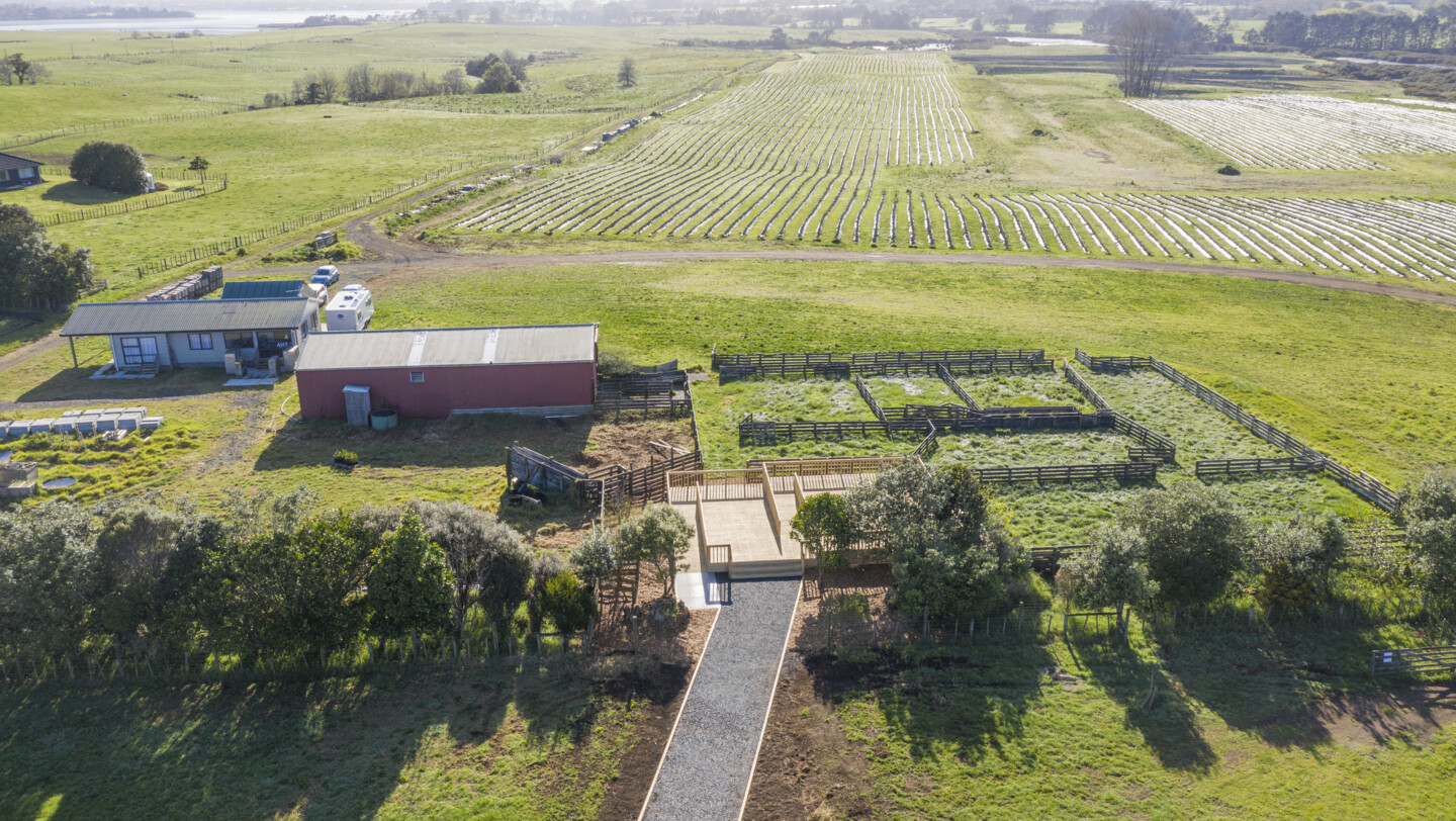 CCT Lavender Farm & Cafe | Activities & Day Trips in Auckland, New Zealand