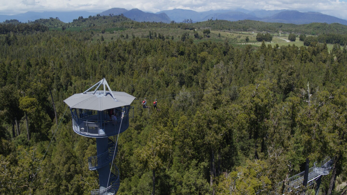 West Coast Tree Top Walk & Tower Zipline Combo | Activities & Day Trips ...