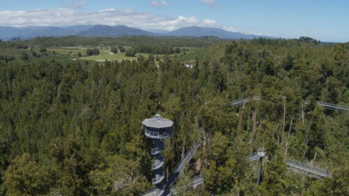West Coast Tree Top Tower Zipline & Walkway Combo | Activity in West ...