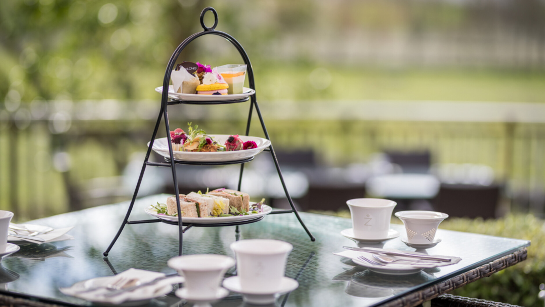 Zealong Tea Estate - High Tea | Activities & Day Trips in Waikato, New ...