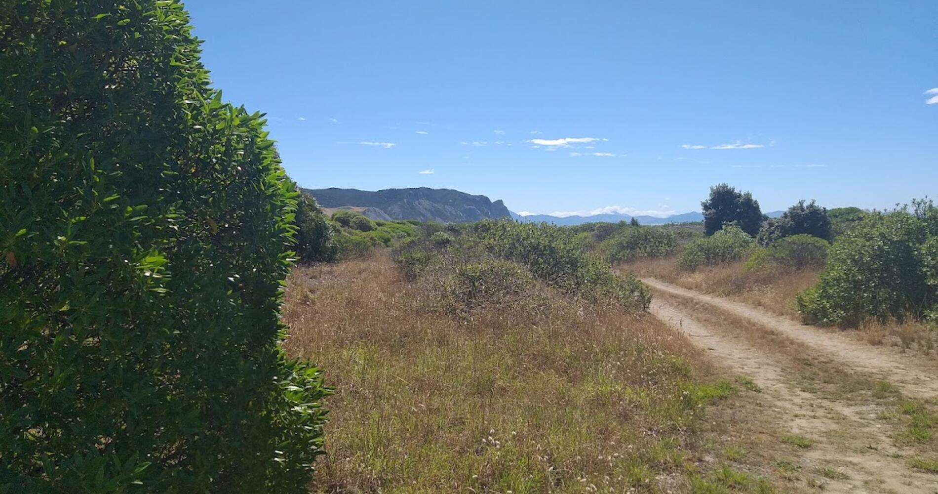 Awatere Valley, Wine & Gardens | Activities & Day Trips in Marlborough ...