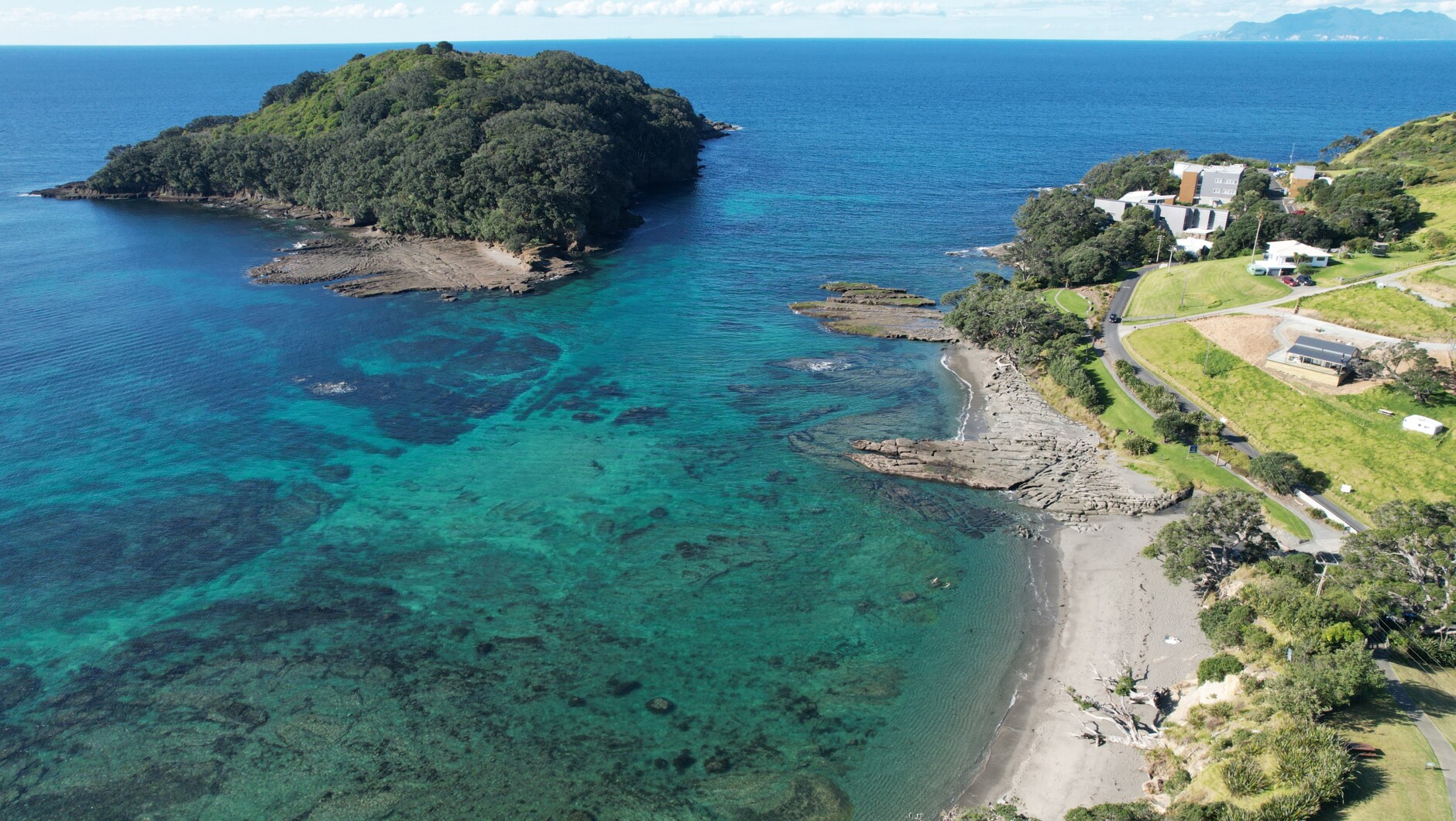 Dive NZ's first Marine Reserve, Goat Island | Activities & Day Trips in ...