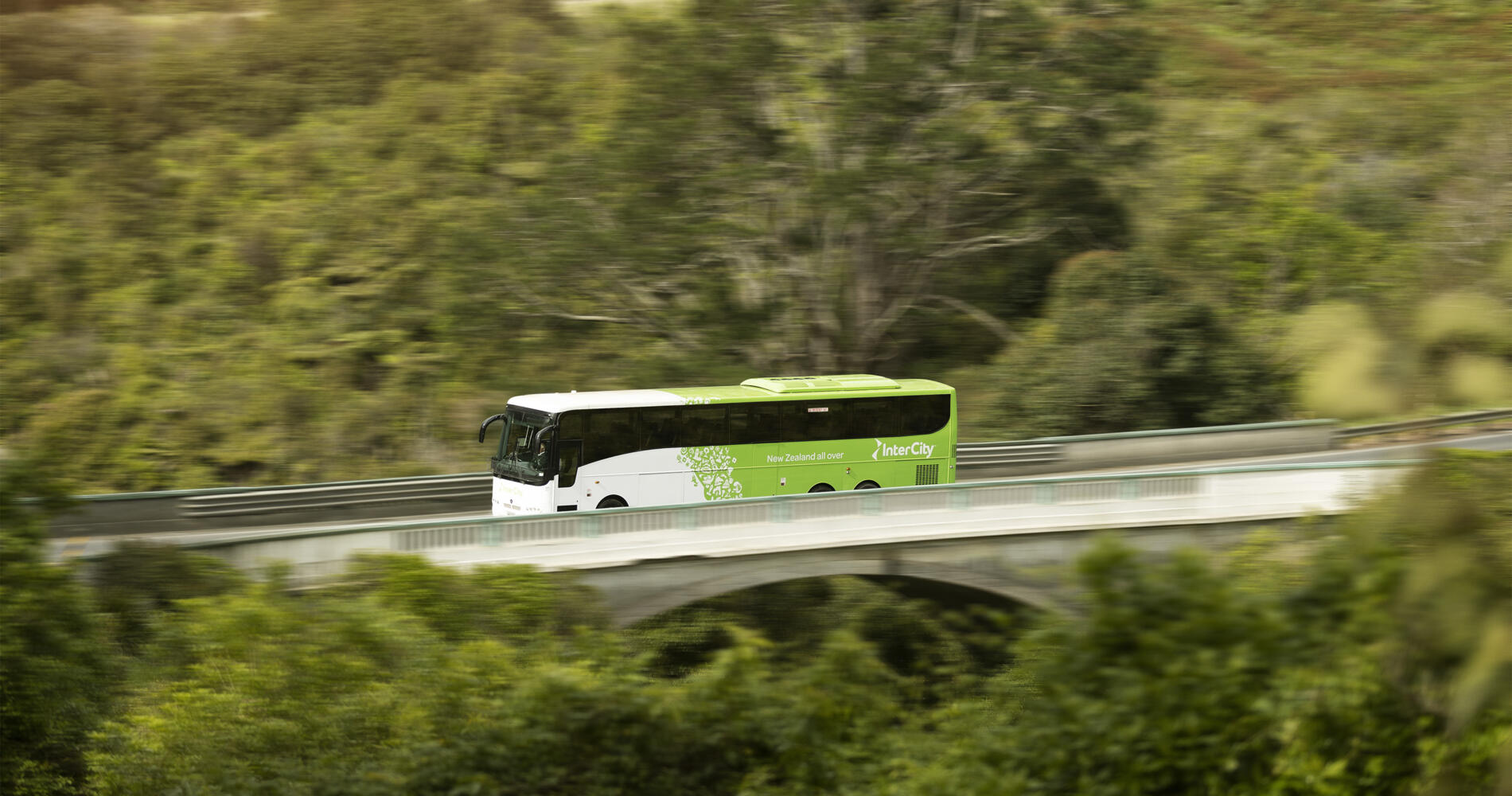 InterCity Auckland | Transport in Auckland, New Zealand