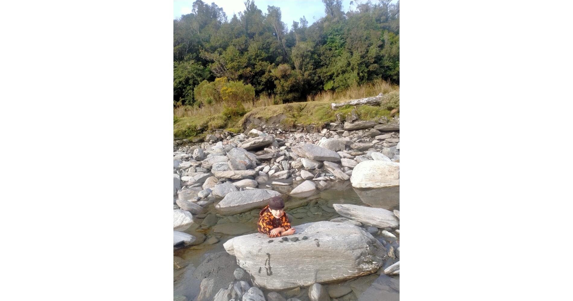 Arahura River Walk | Activities & Day Trips in West Coast, New Zealand