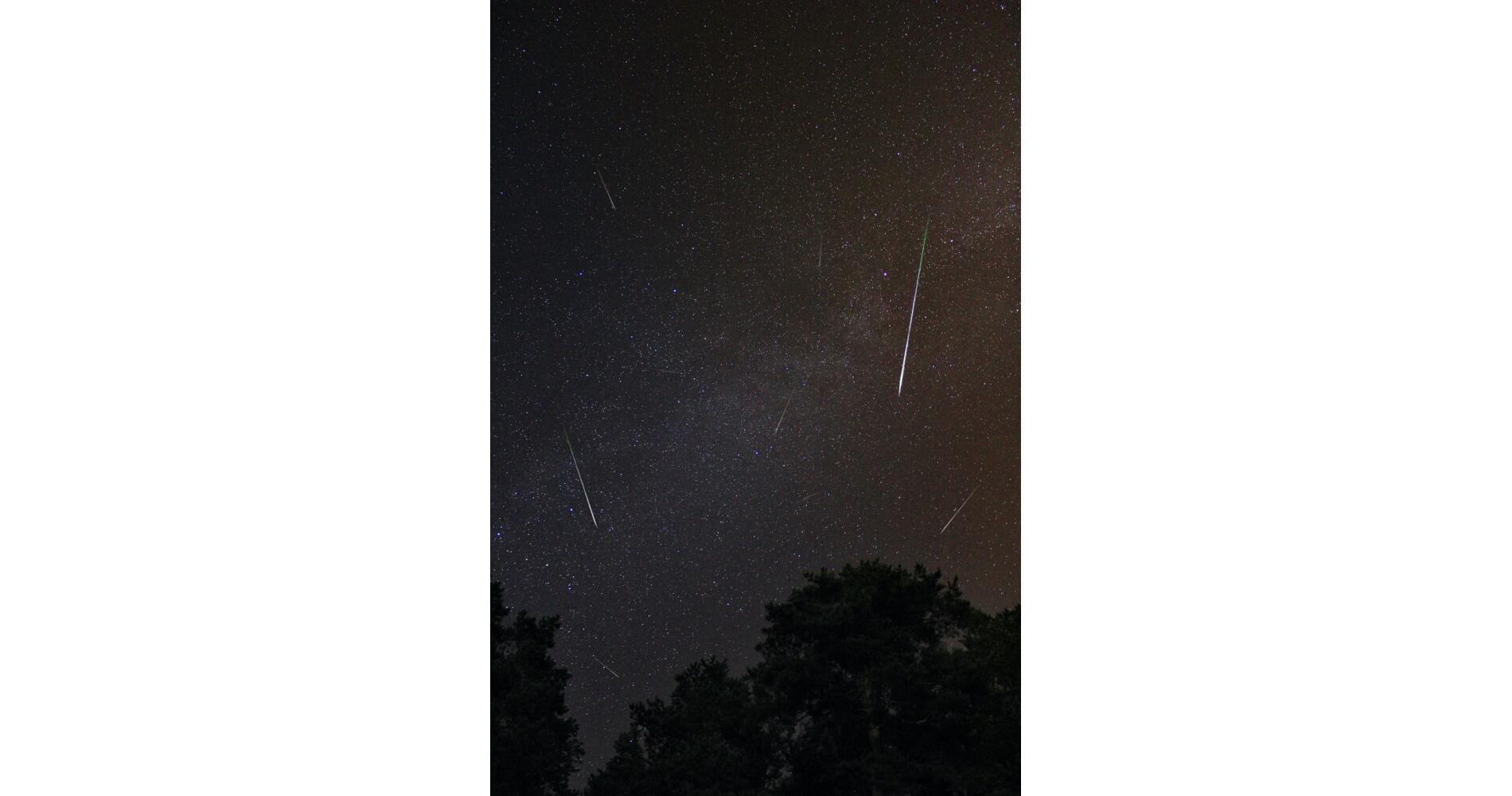 Cosmic Tours NZ | Activities & Day Trips in Auckland, New Zealand