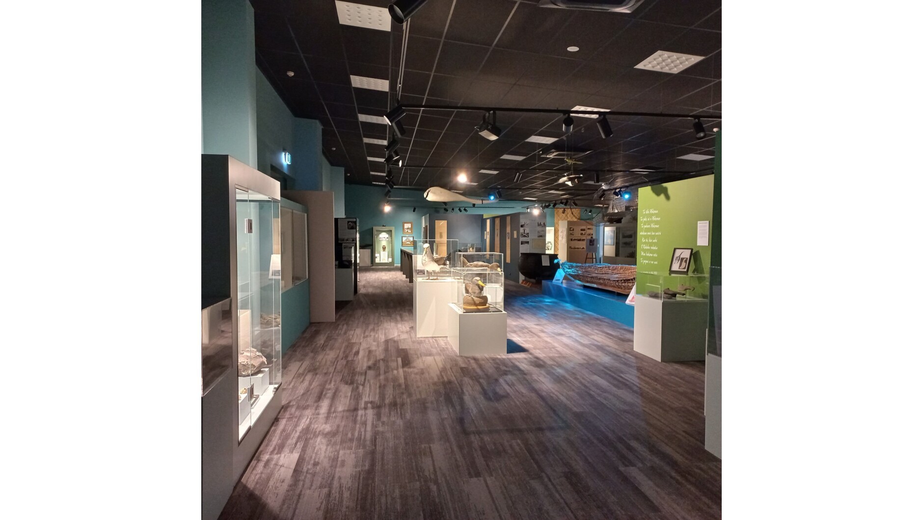 Chatham Islands Museum | Activity in Chatham Islands, New Zealand