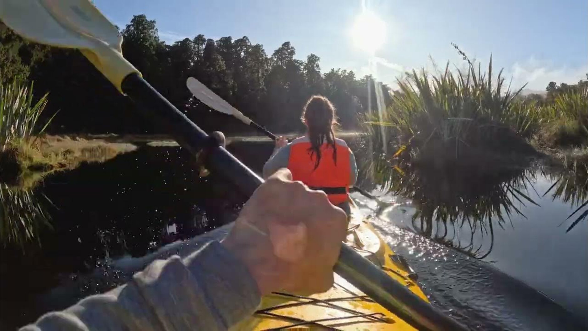 Franz Josef Wilderness Tours - Kayaks Tours & Rentals | Activities ...