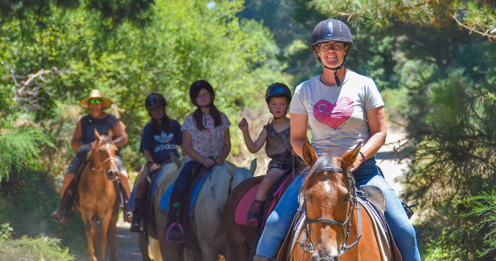 Enchanted Forest Horse Ride (Korohe Horse Treks) | Activities & Day ...