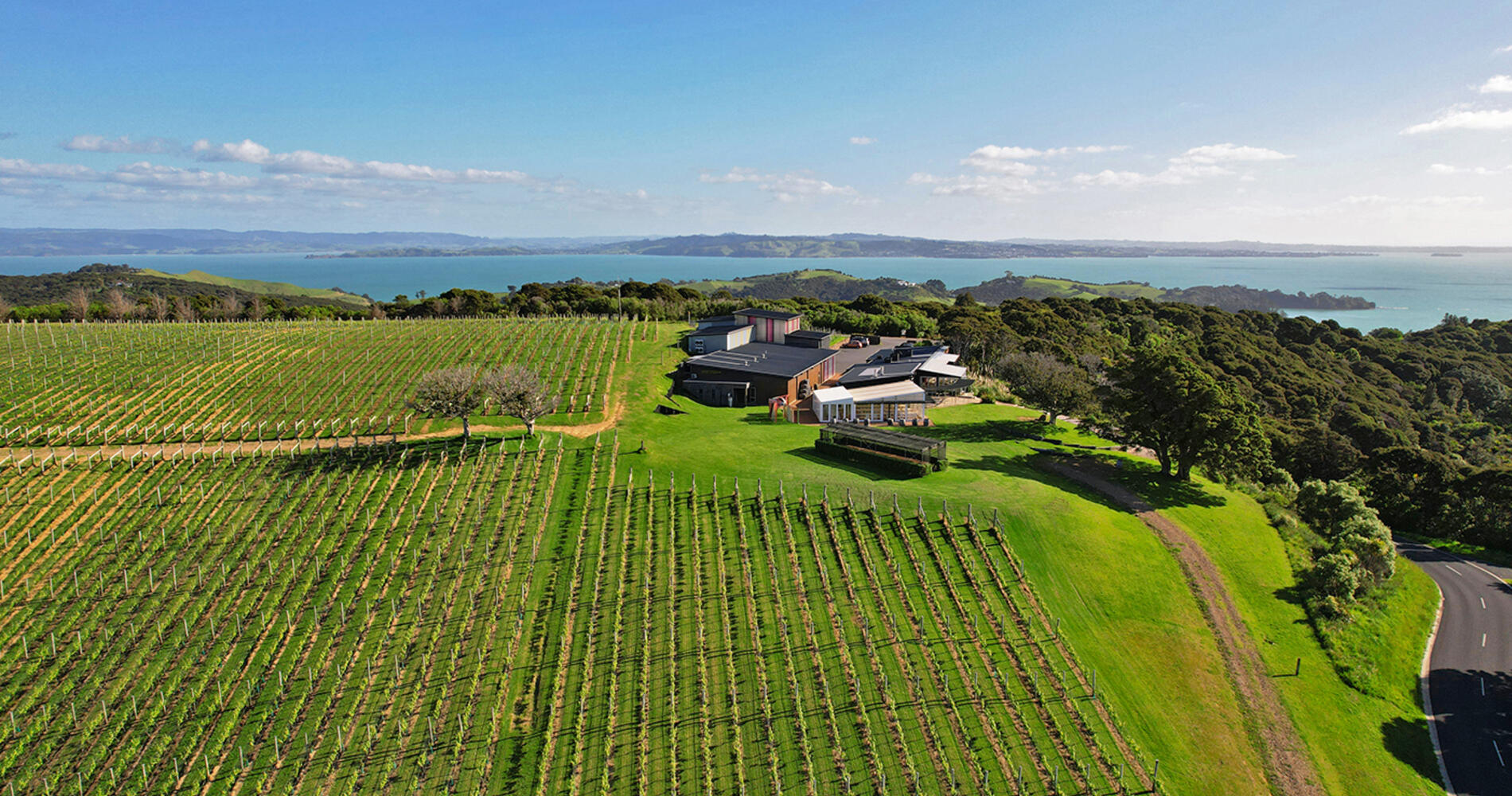 Batch Winery | Activities & Day Trips in Auckland, New Zealand