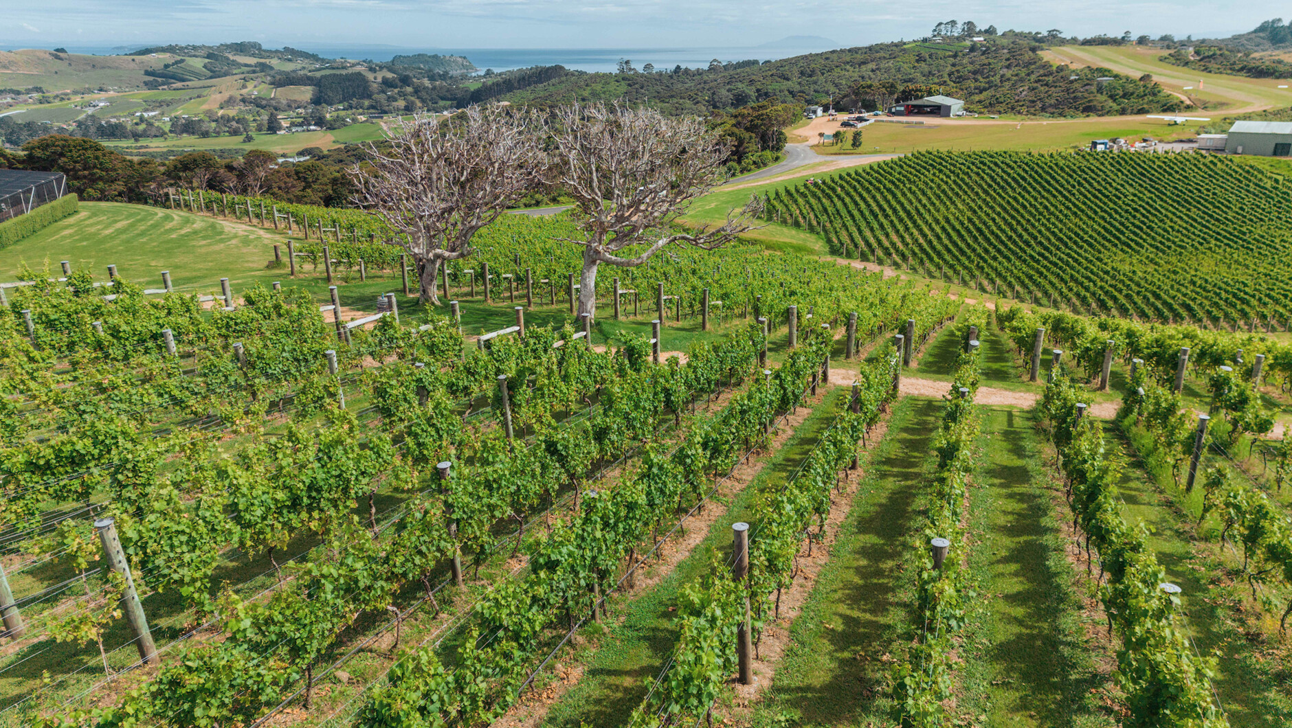 Batch Winery | Activity in Auckland, New Zealand