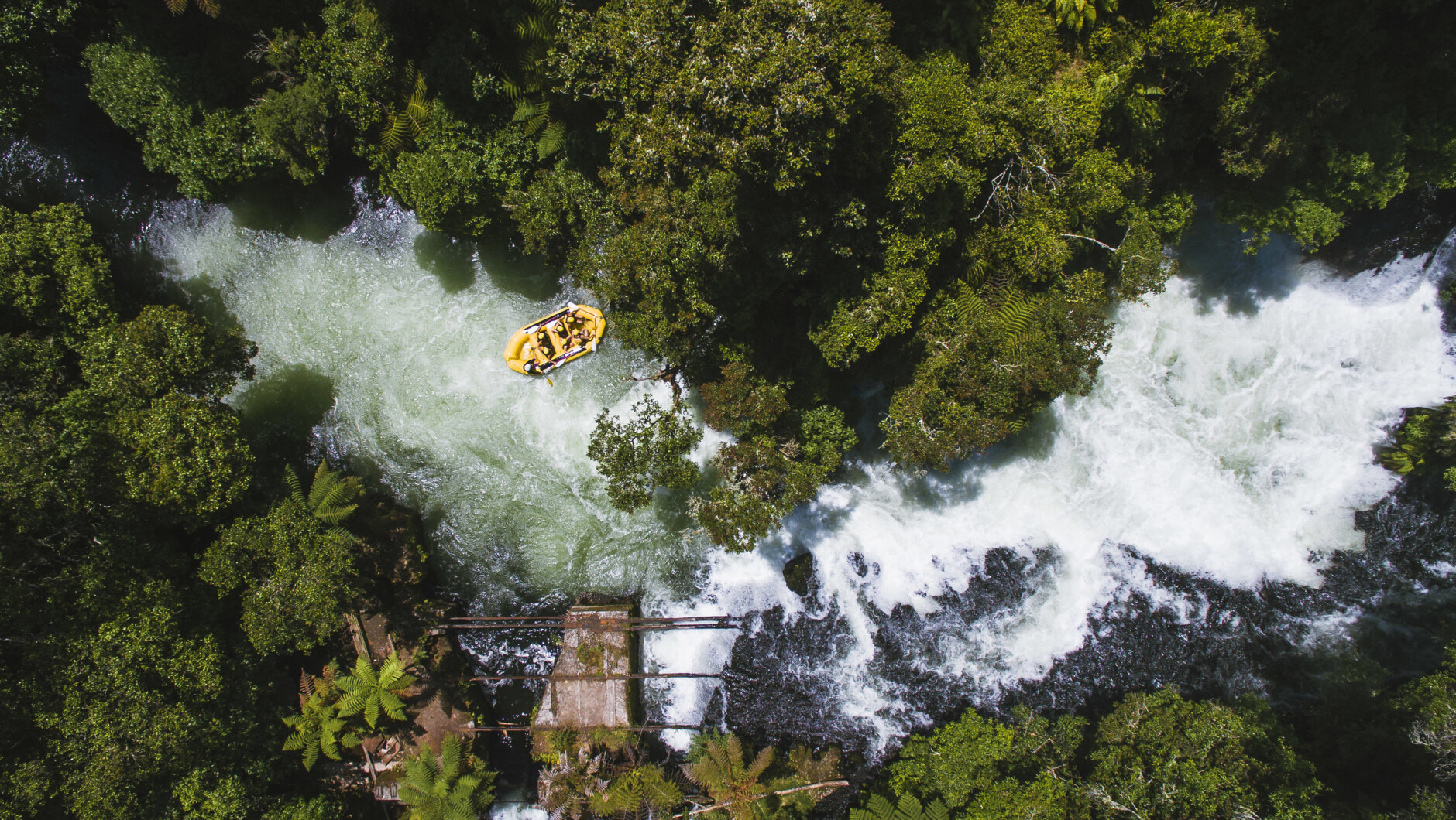Rotorua Rafting - Raft + Zip Combo | Activities & Day Trips in Rotorua ...