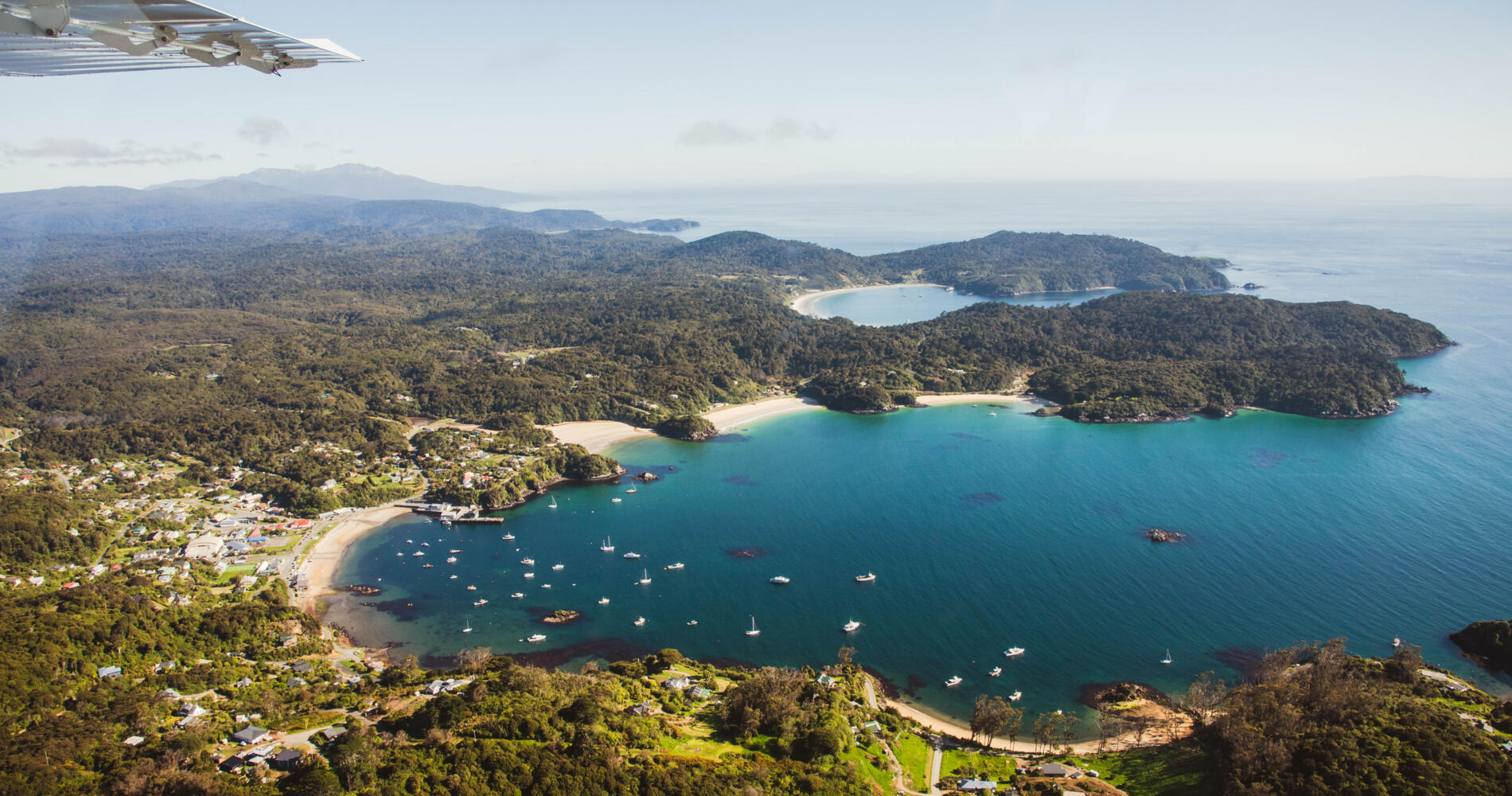 Stewart Island Ultimate Day Experience | Activities & Day Trips in ...