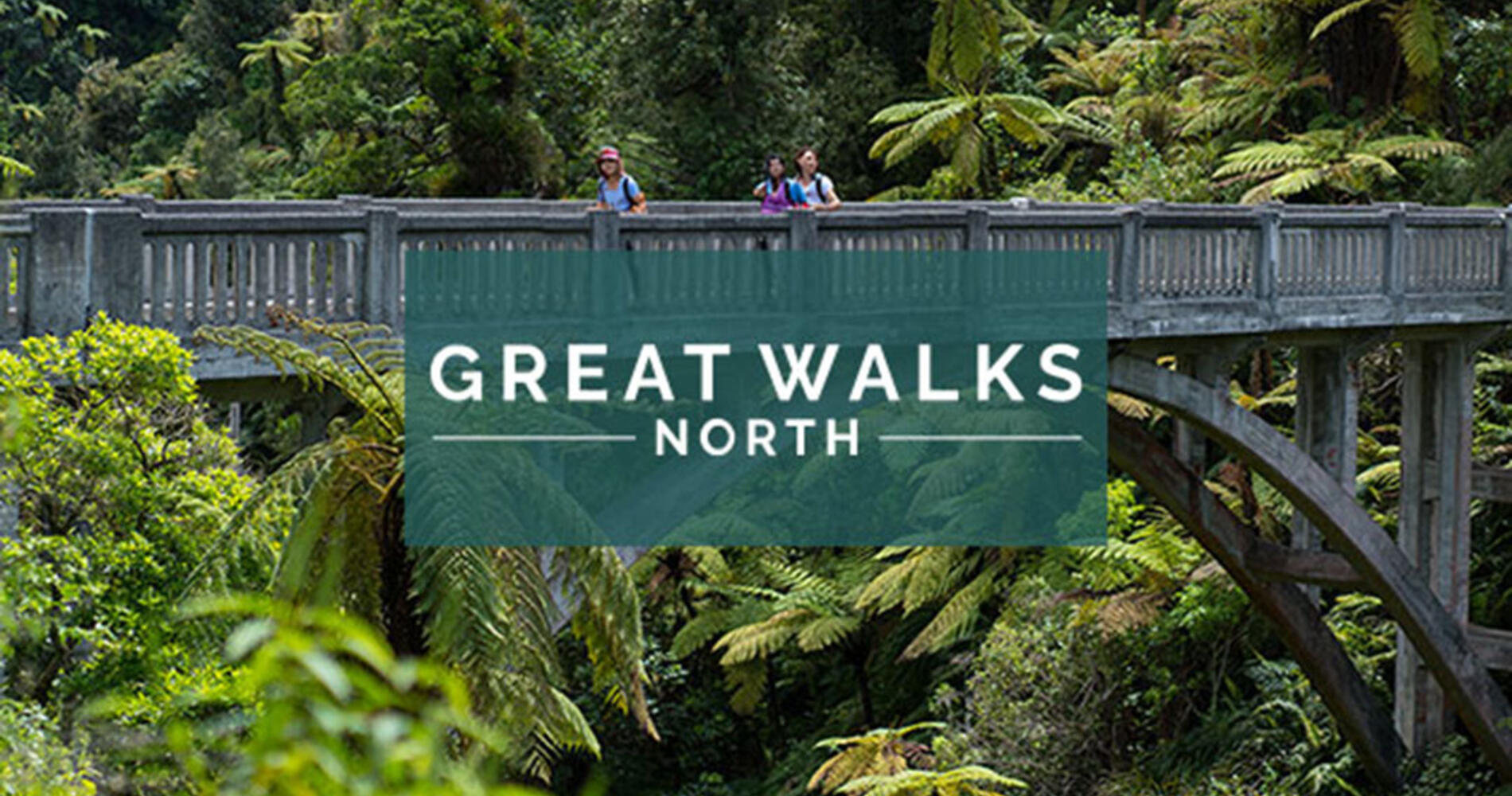 The New Zealand Great Walk Adventure - North - New Zealand Trails ...
