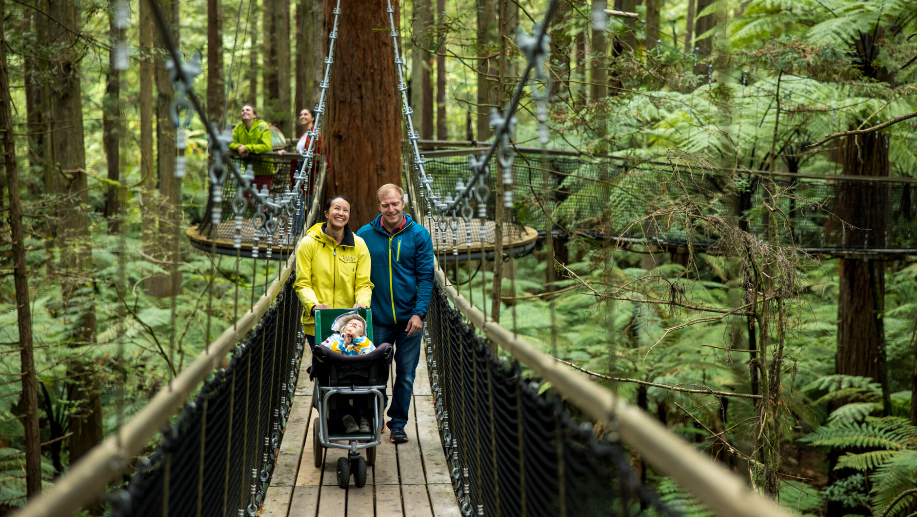 Redwoods Treewalk | Activities & Day Trips in Rotorua, New Zealand
