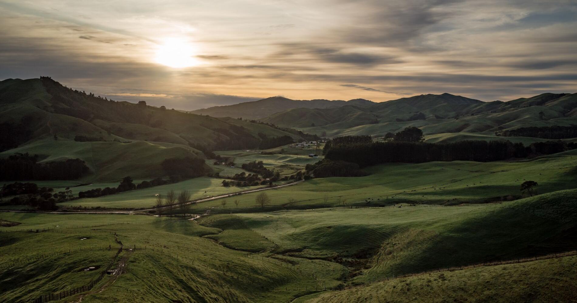 Matahuru Valley Walk | Activities & Day Trips in Waikato, New Zealand