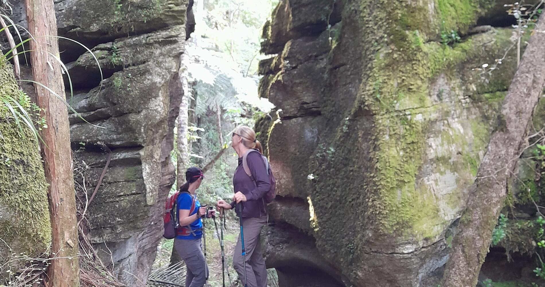 The Jurassic Walks at Waipu Caves Farm Park | Activity in Northland ...