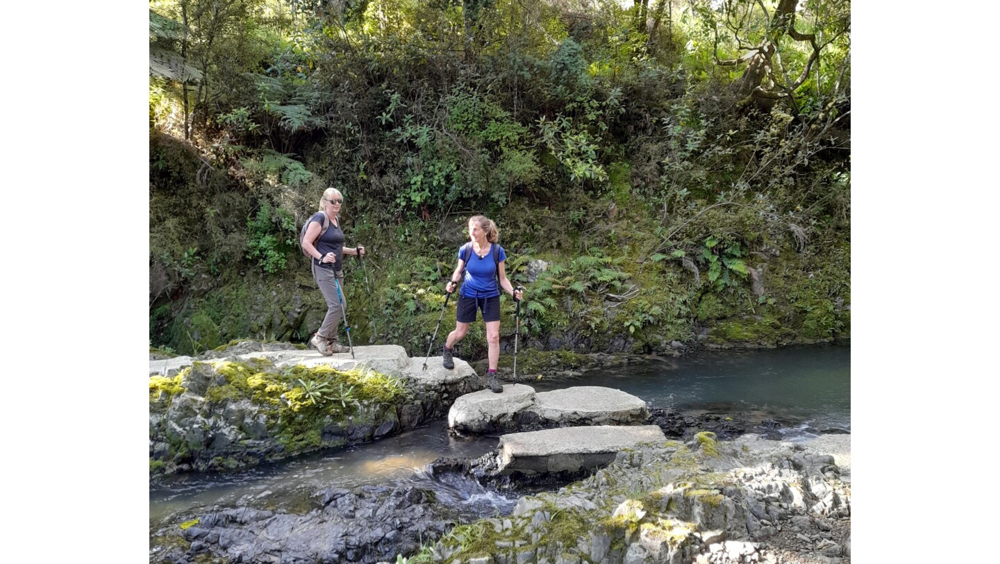 The Jurassic Walks at Waipu Caves Farm Park | Activity in Northland ...