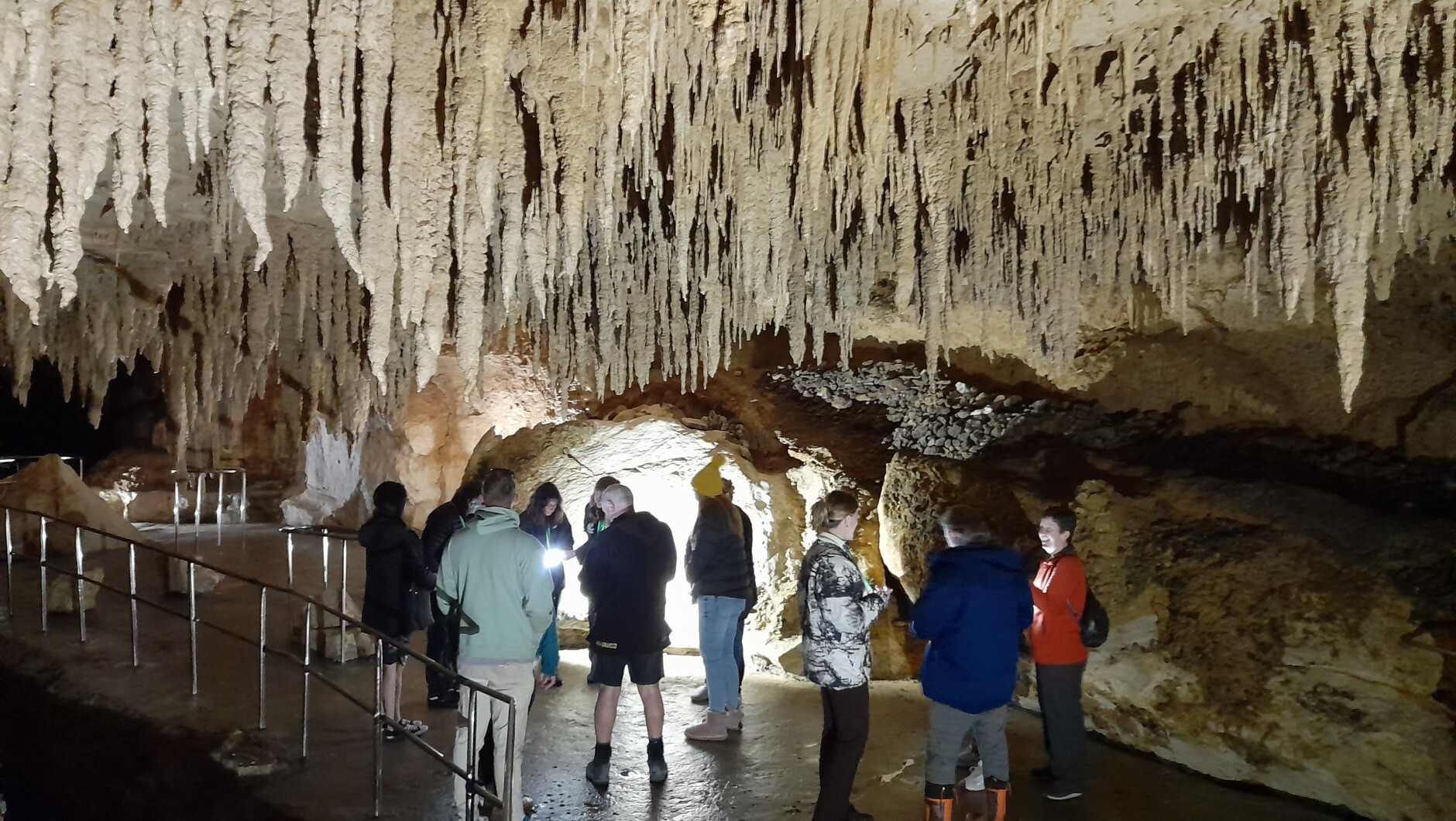 Glow Worm Tours at Waipu Caves Farm Park | Activity in Northland & Bay ...