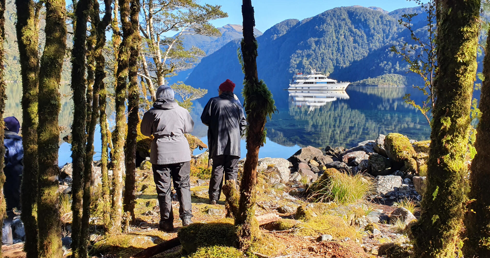 Southern Fiords Discovery: A Deep Exploration of Fiordland's Southern ...