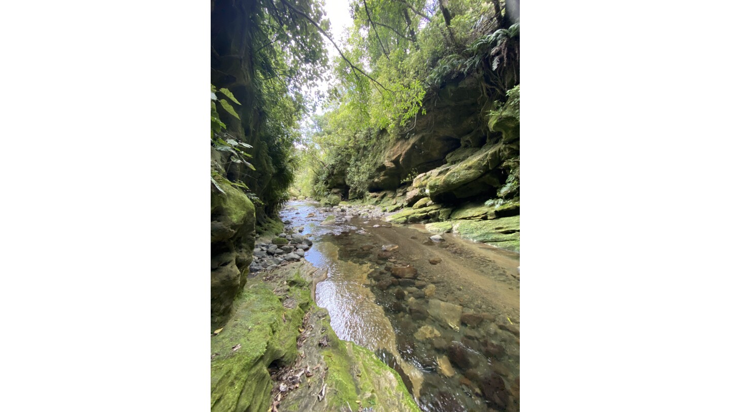 Patuna Farm Adventures | Activities & Day Trips in Wairarapa, New Zealand