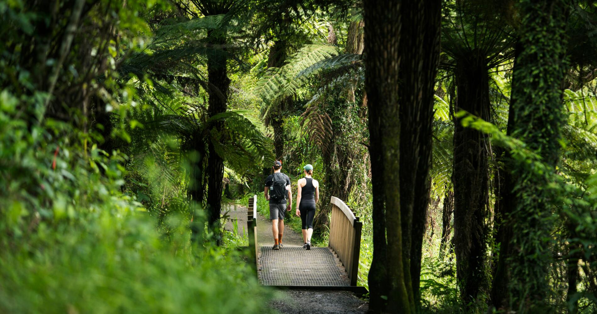 Trail Sharing: Hunua Traverse Vehicle Exchange | Transport in Auckland ...