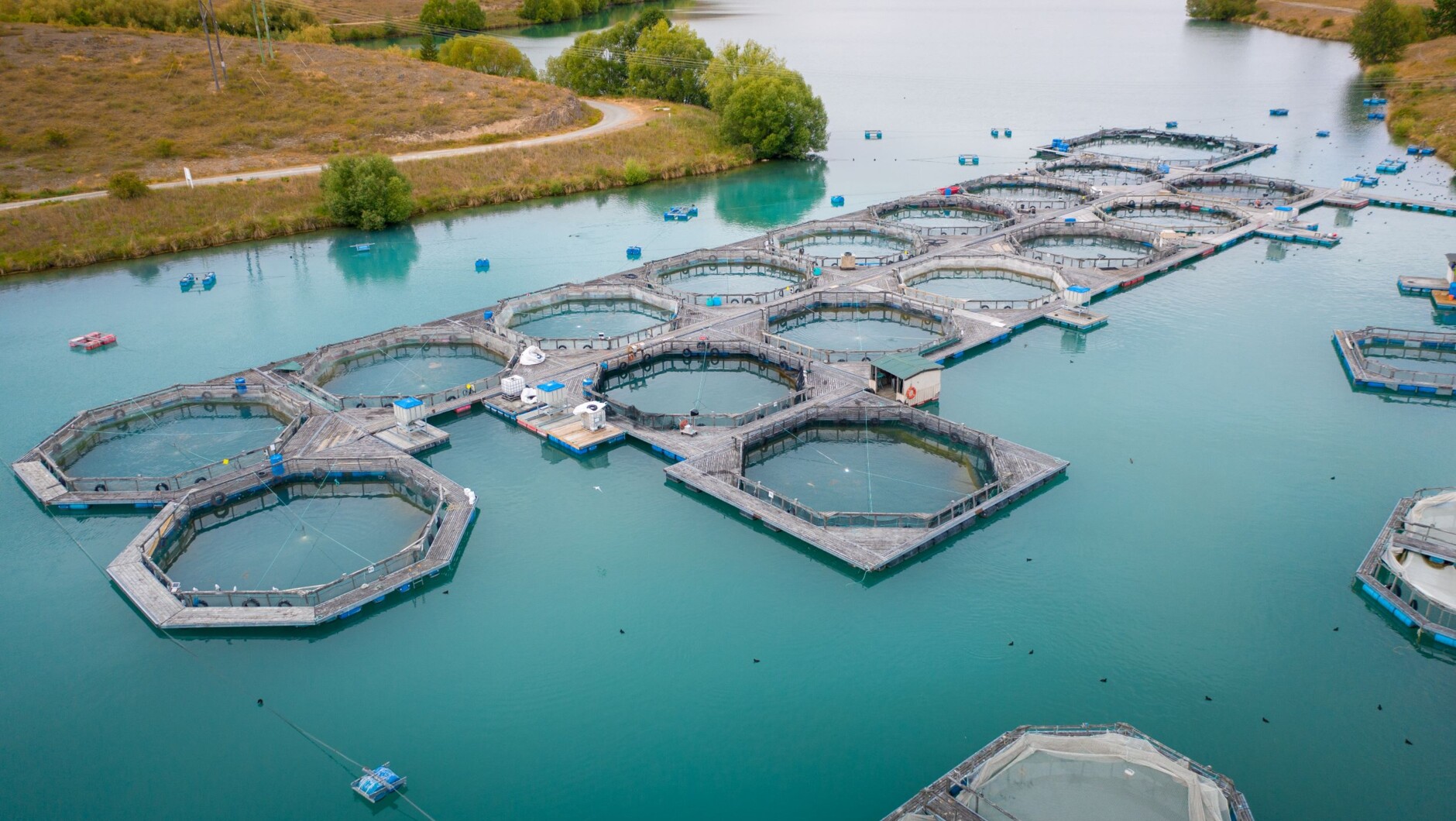 High Country Salmon | Activities & Day Trips in Christchurch ...